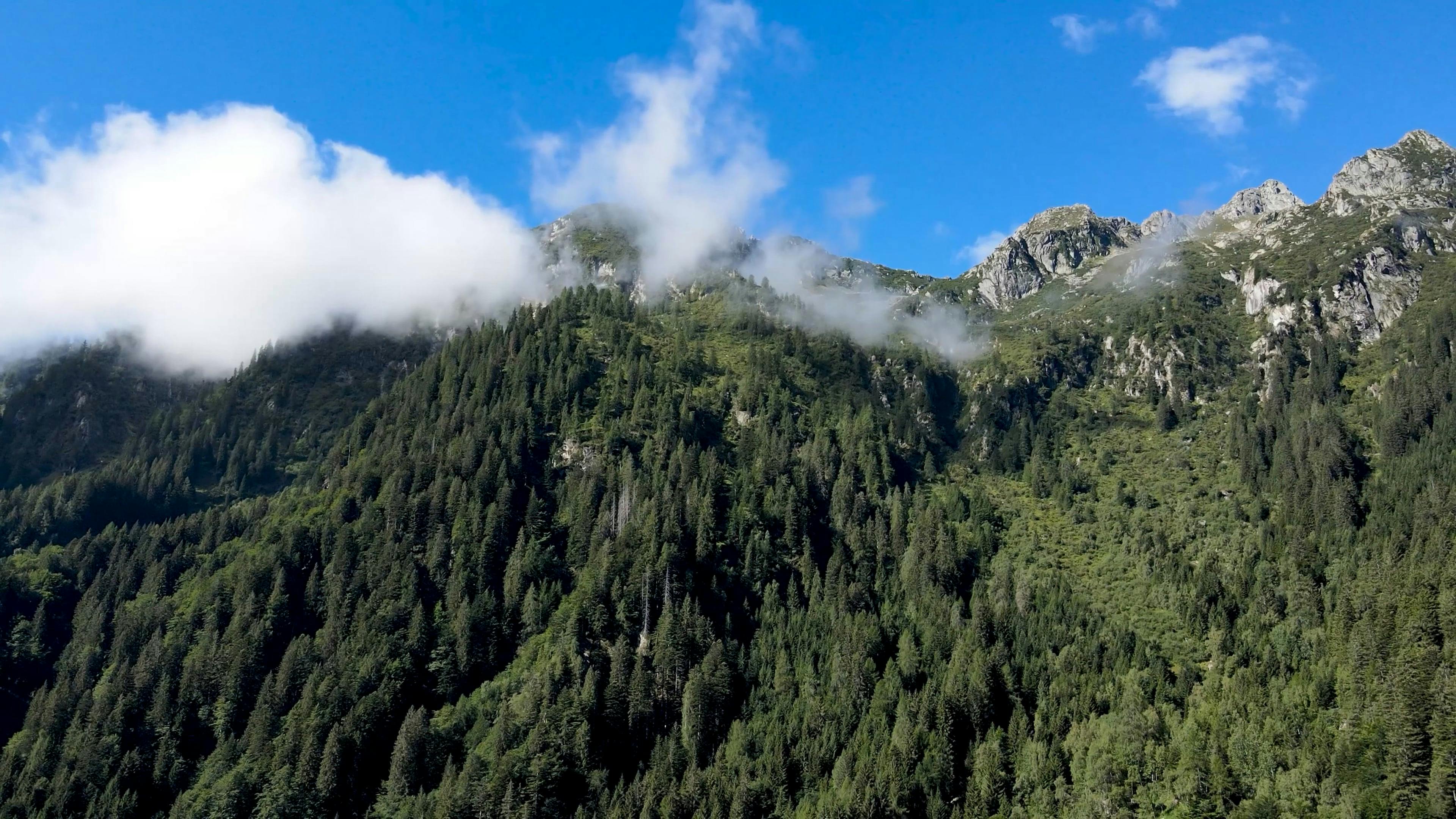 Ambient_Nature_ Atmosphere - 摄影