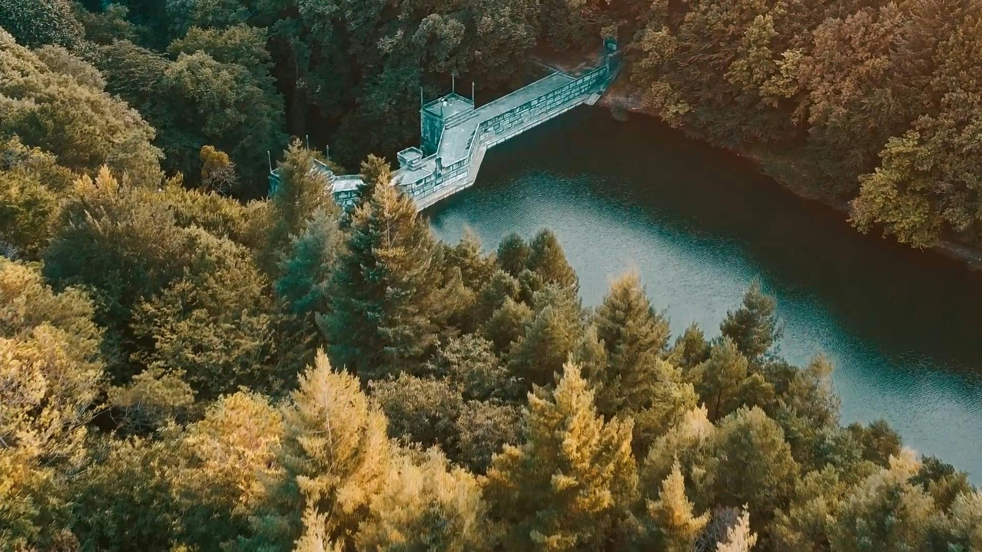 River with Dam among Trees in Forest Free Stock Video Footage, Royalty ...