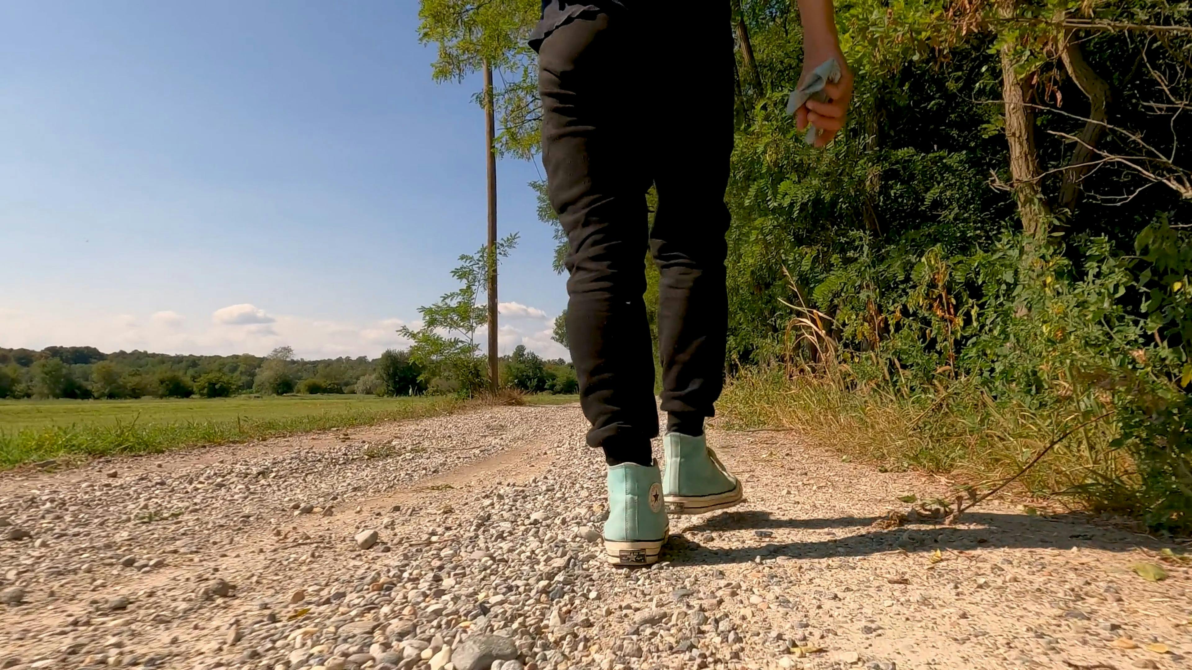 Vídeos de stock gratuitos sobre arboles, caminando, camino de tierra ...