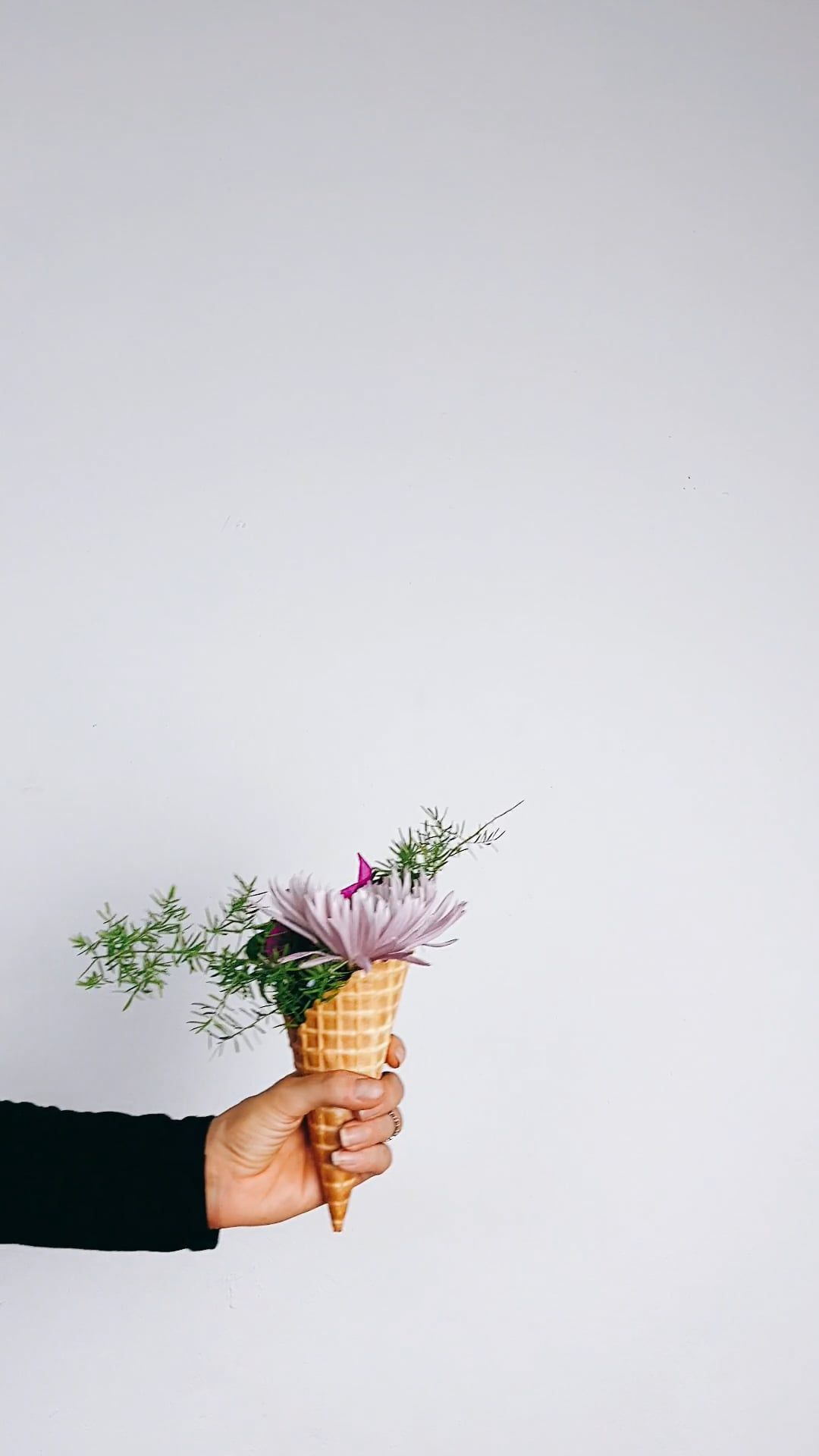 Vídeos de stock gratuitos sobre arreglo creativo, arreglo de plantas ...