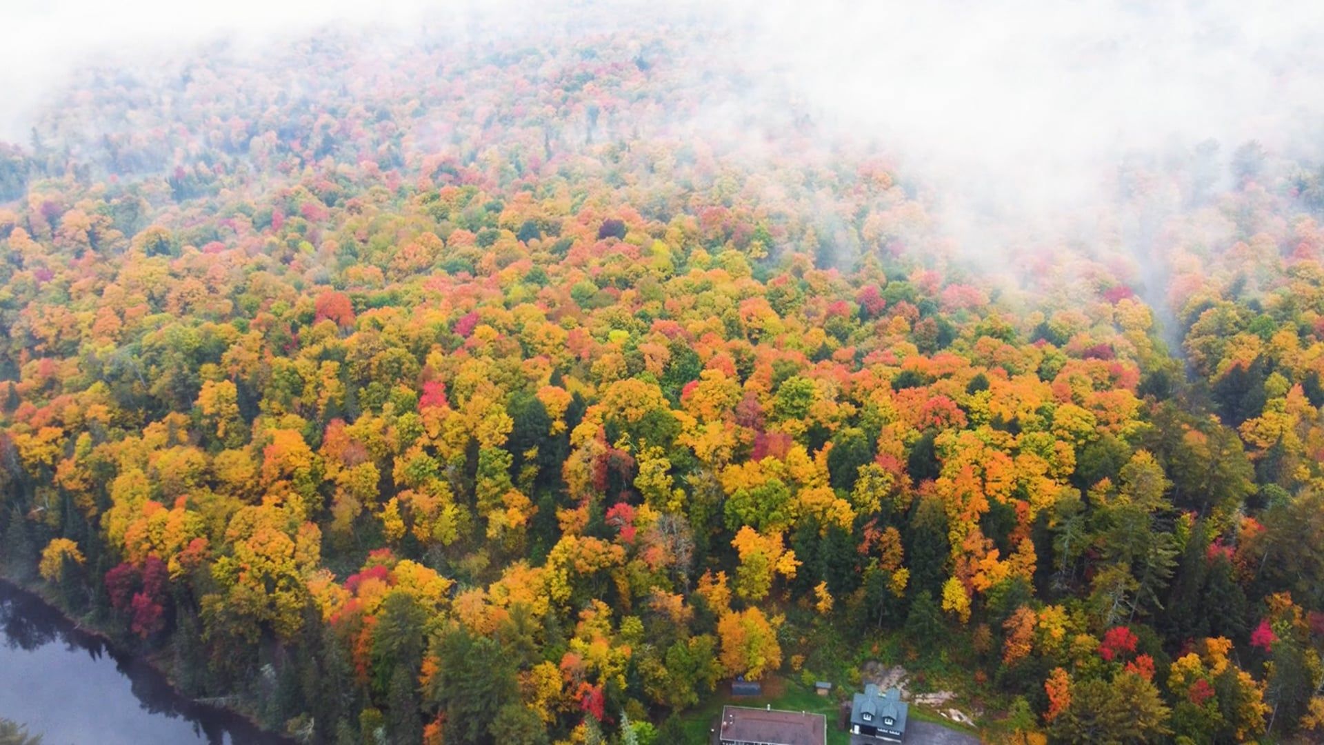 The Autumn Season Turn Forest Into A Colorful Scenery Free Stock Video ...