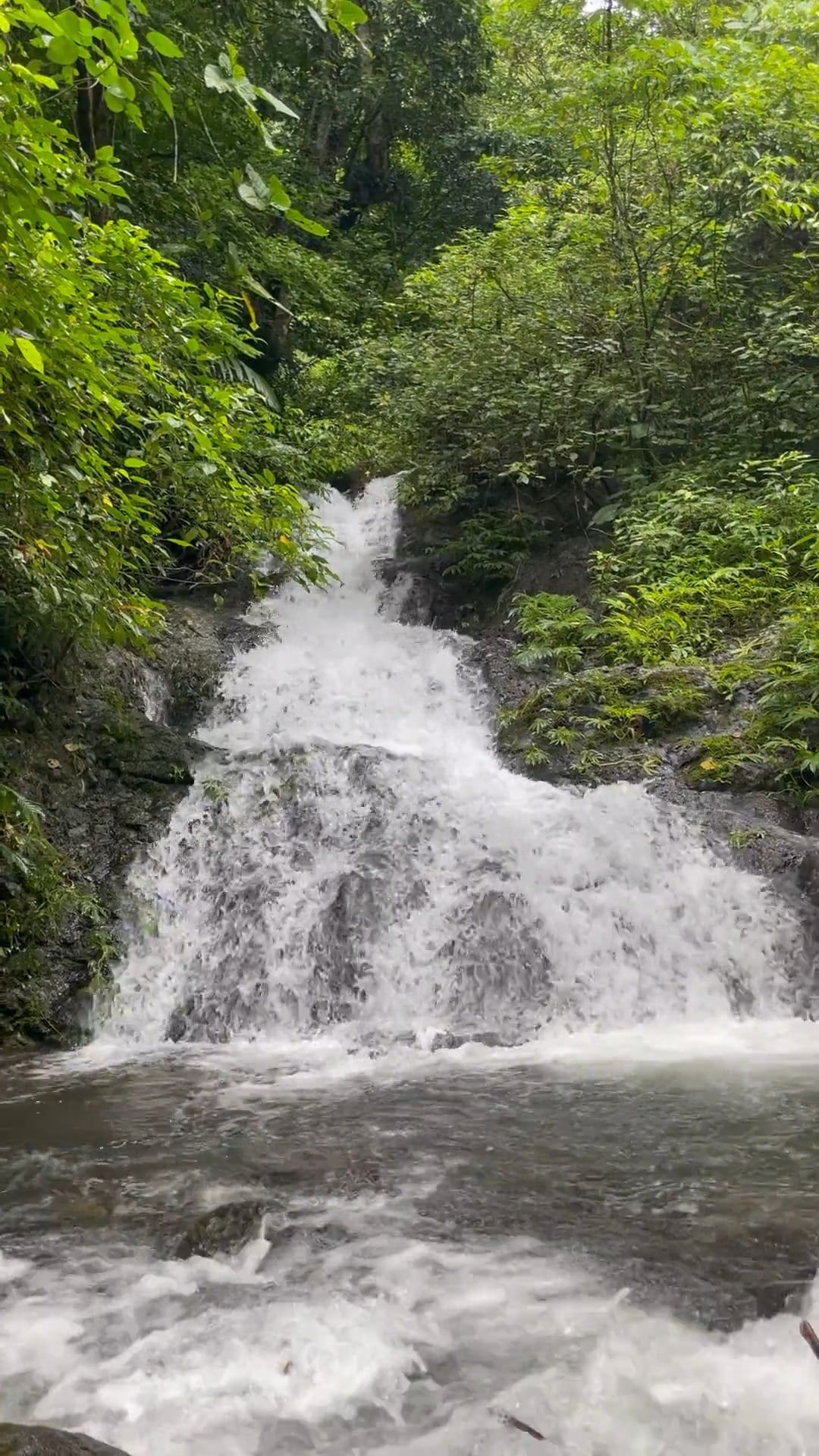 Waterfall in the Forest Free Stock Video Footage, Royalty-Free 4K & HD ...