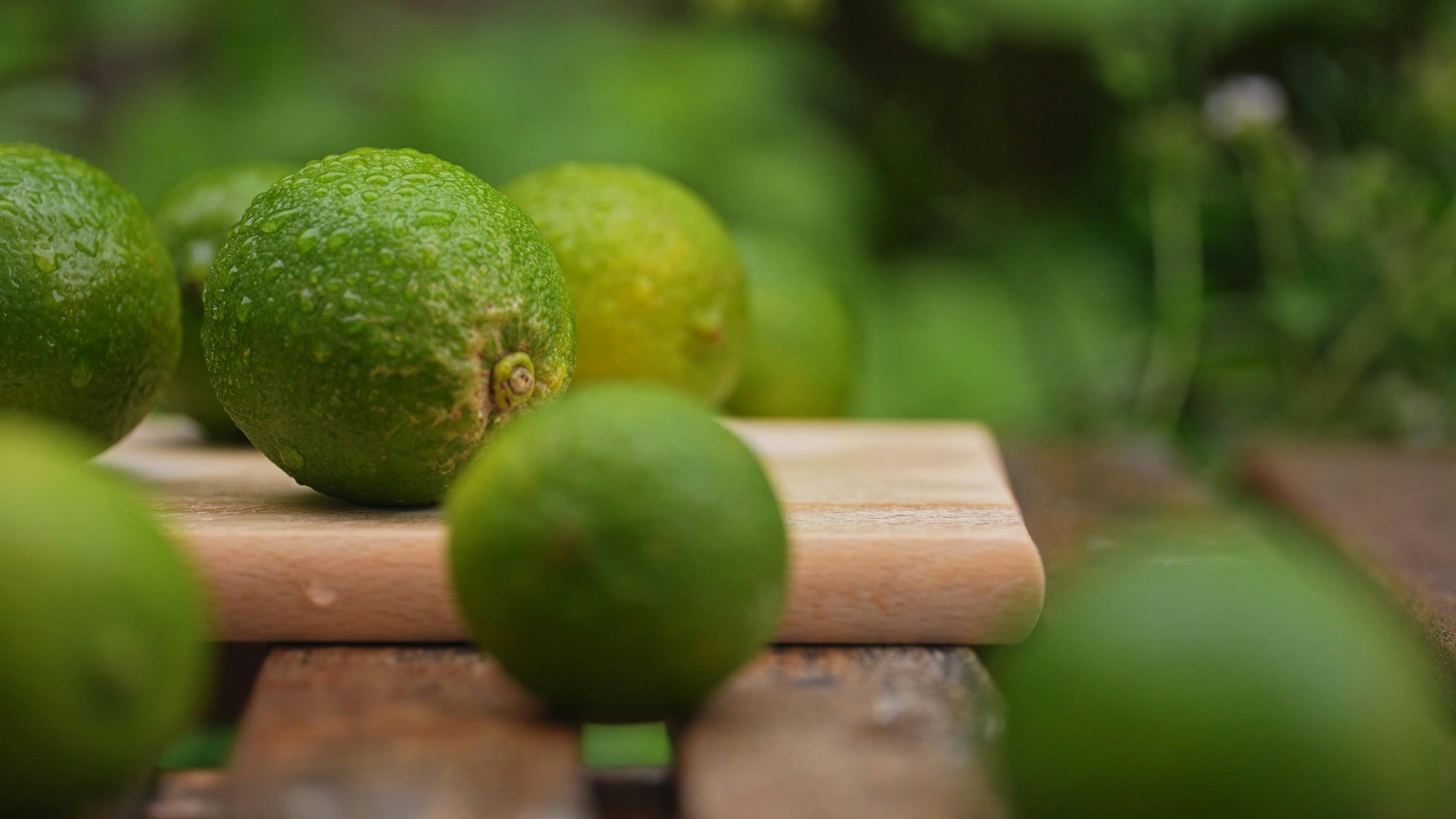 Close up of Green Lemon on Tray Free Stock Video Footage, Royalty-Free ...