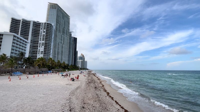 13,415+ Best Free Miami beach 4K Stock Video Footage & Royalty-Free HD ...
