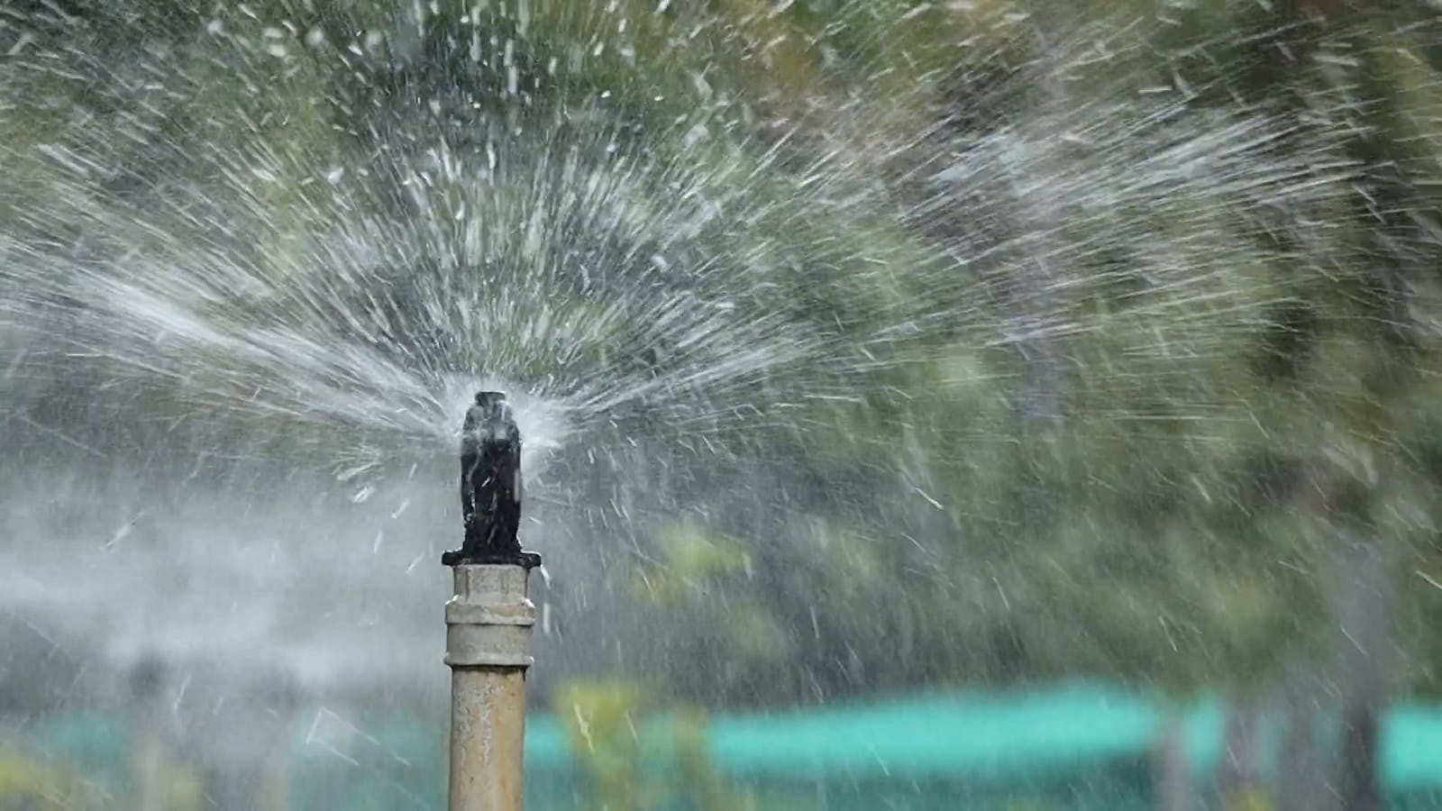 Drip Irrigation Videos, Download The BEST Free 4k Stock Video Footage ...