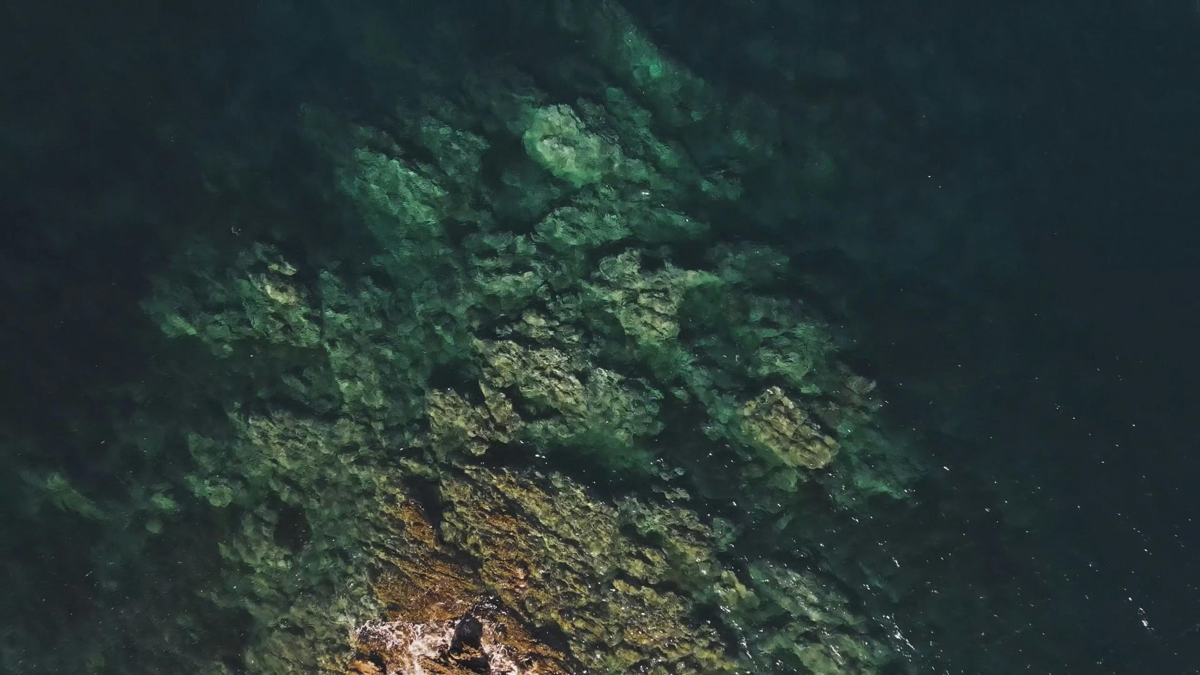 Vídeo profissional gratuito de 4k, à beira mar, água limpa, águas azul ...