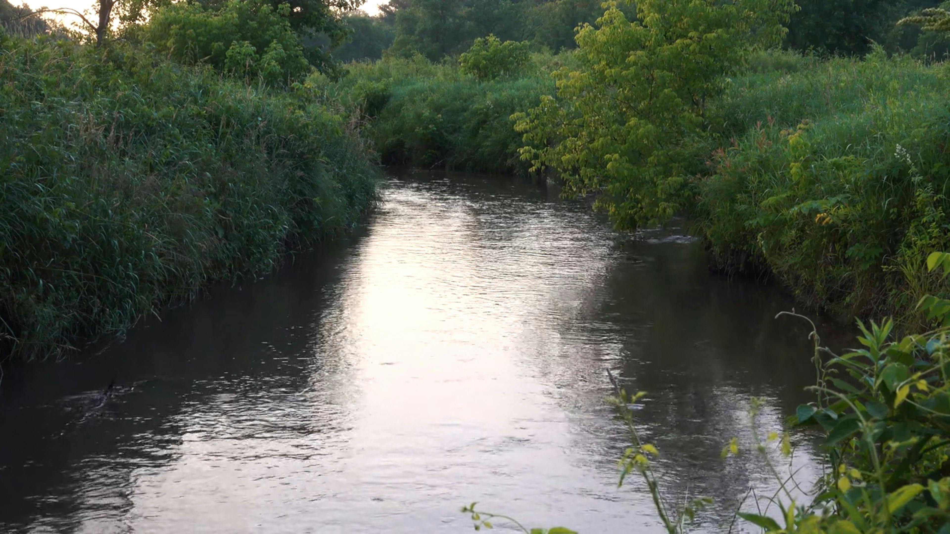 Rushes around River Free Stock Video Footage, Royalty-Free 4K & HD ...