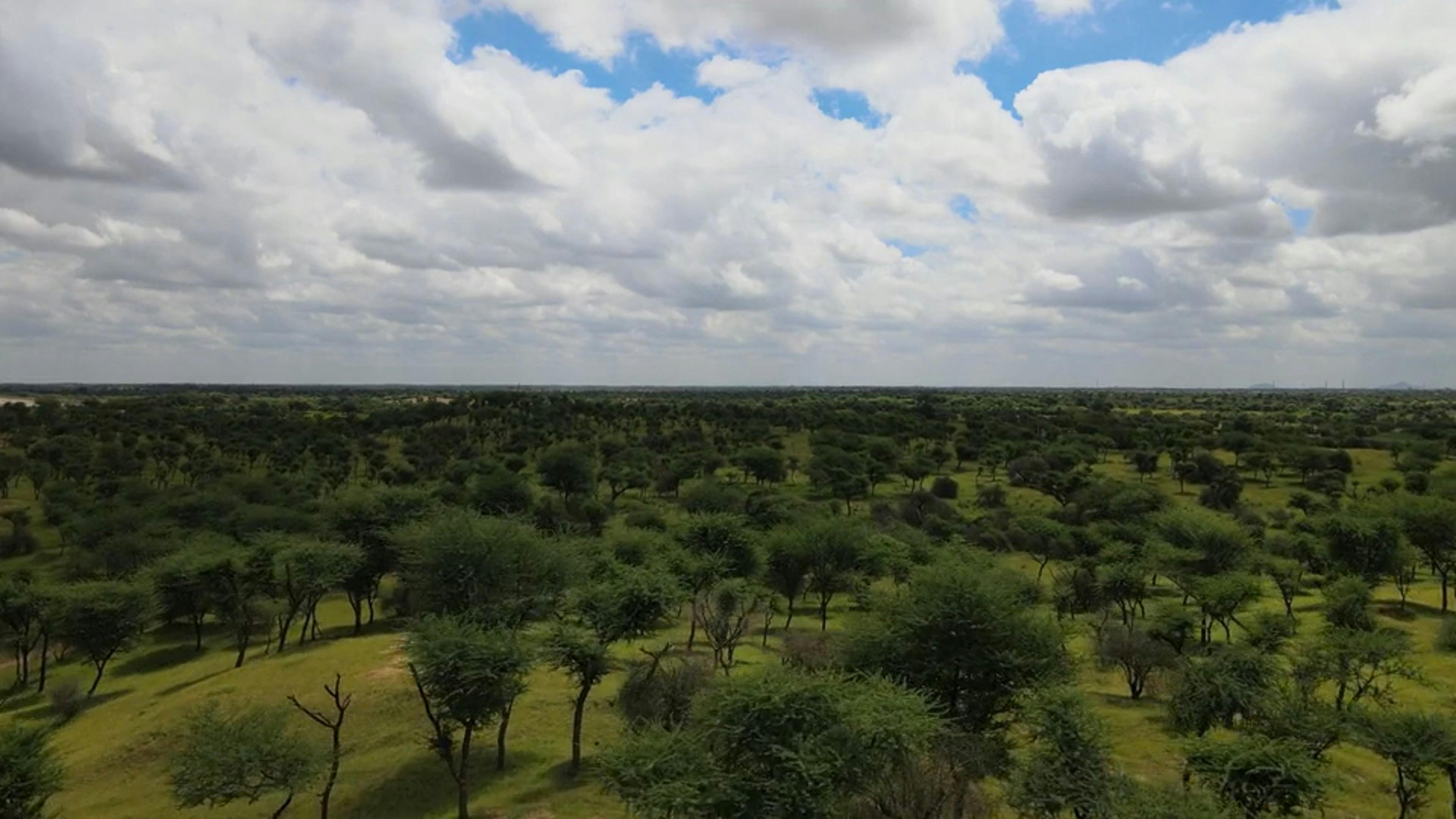 Plains with Trees Free Stock Video Footage, Royalty-Free 4K & HD Video Clip