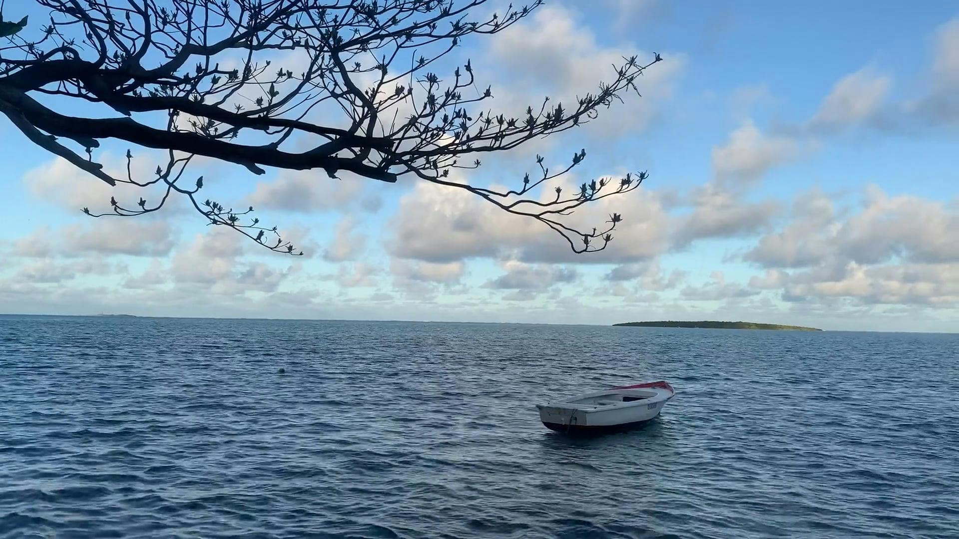 Empty Boat on Sea Shore Free Stock Video Footage, Royalty-Free 4K & HD ...