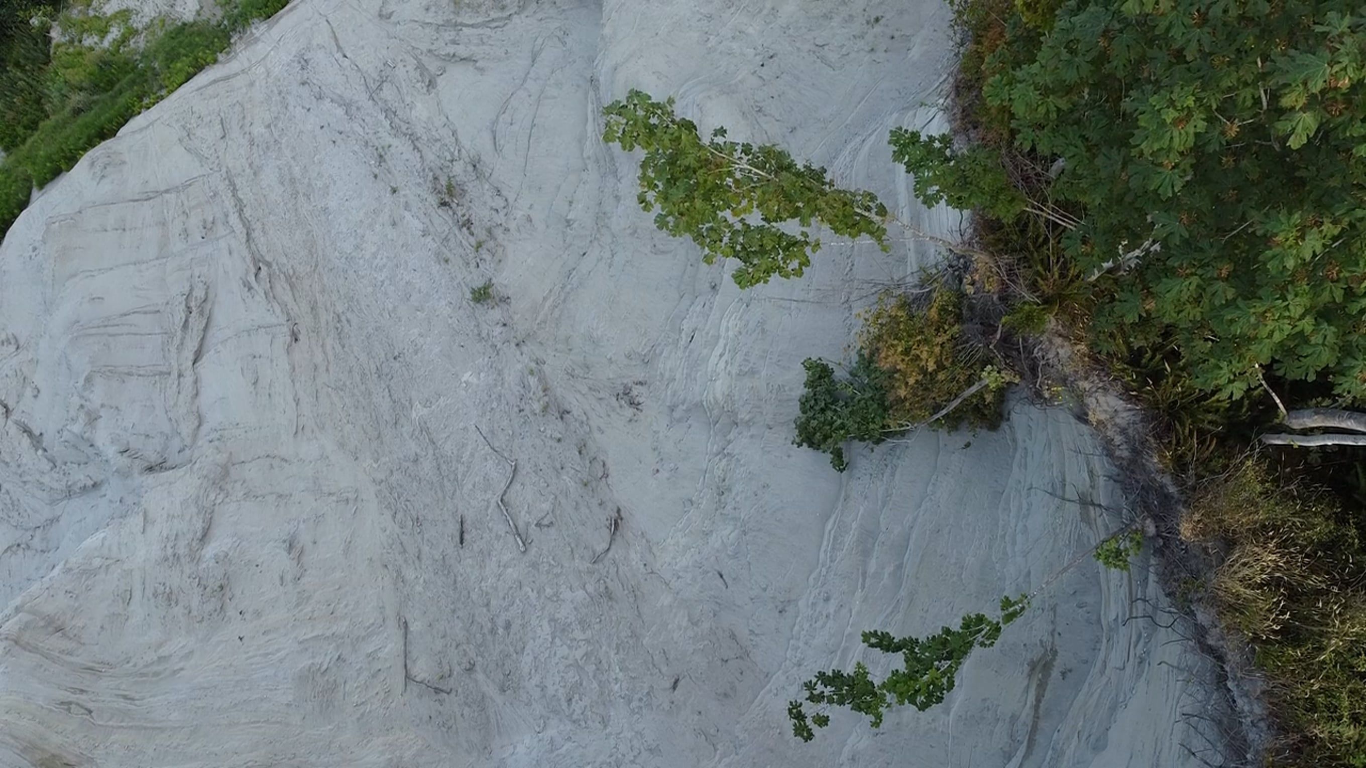 Top View of Rock Formations and Green Trees by the Sea Free Stock Video ...