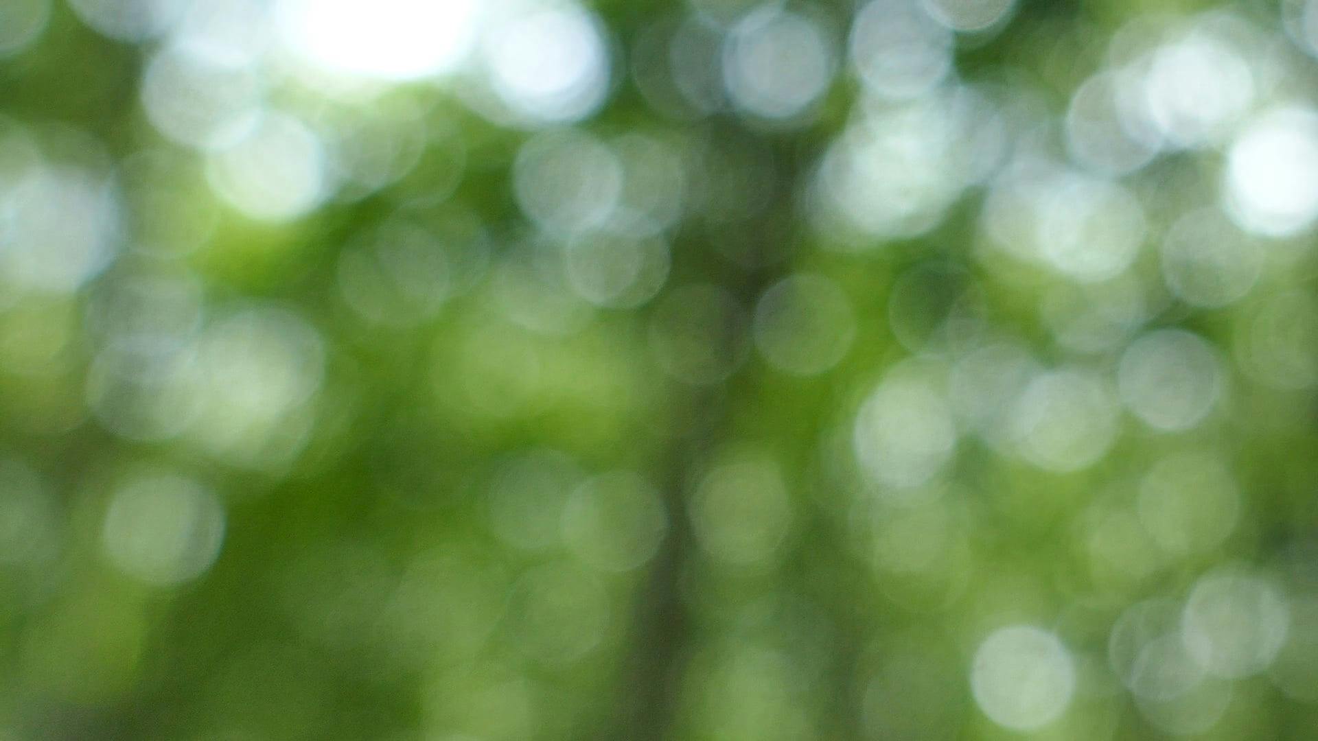 Non Distracting Background Videos, Download The BEST Free 4k Stock ...