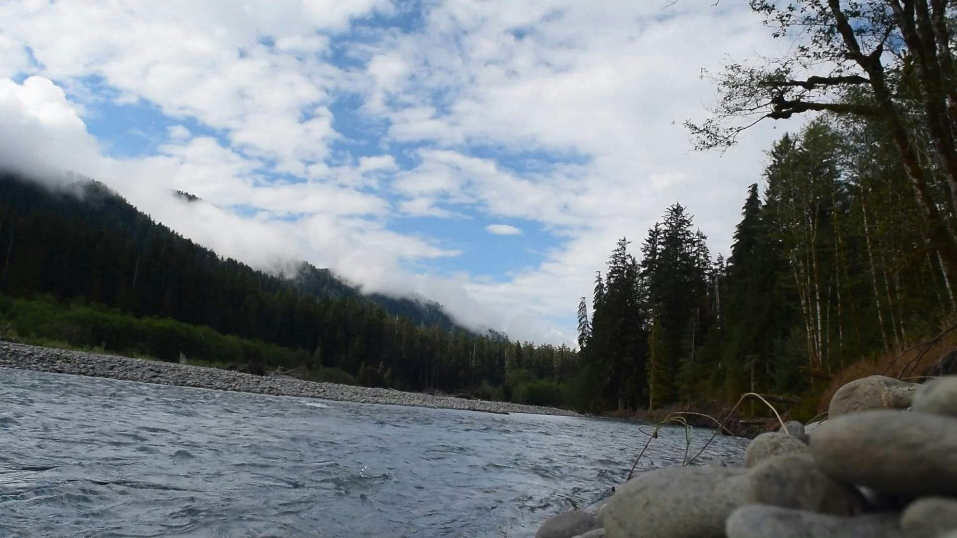 River Flowing · Free Stock Video