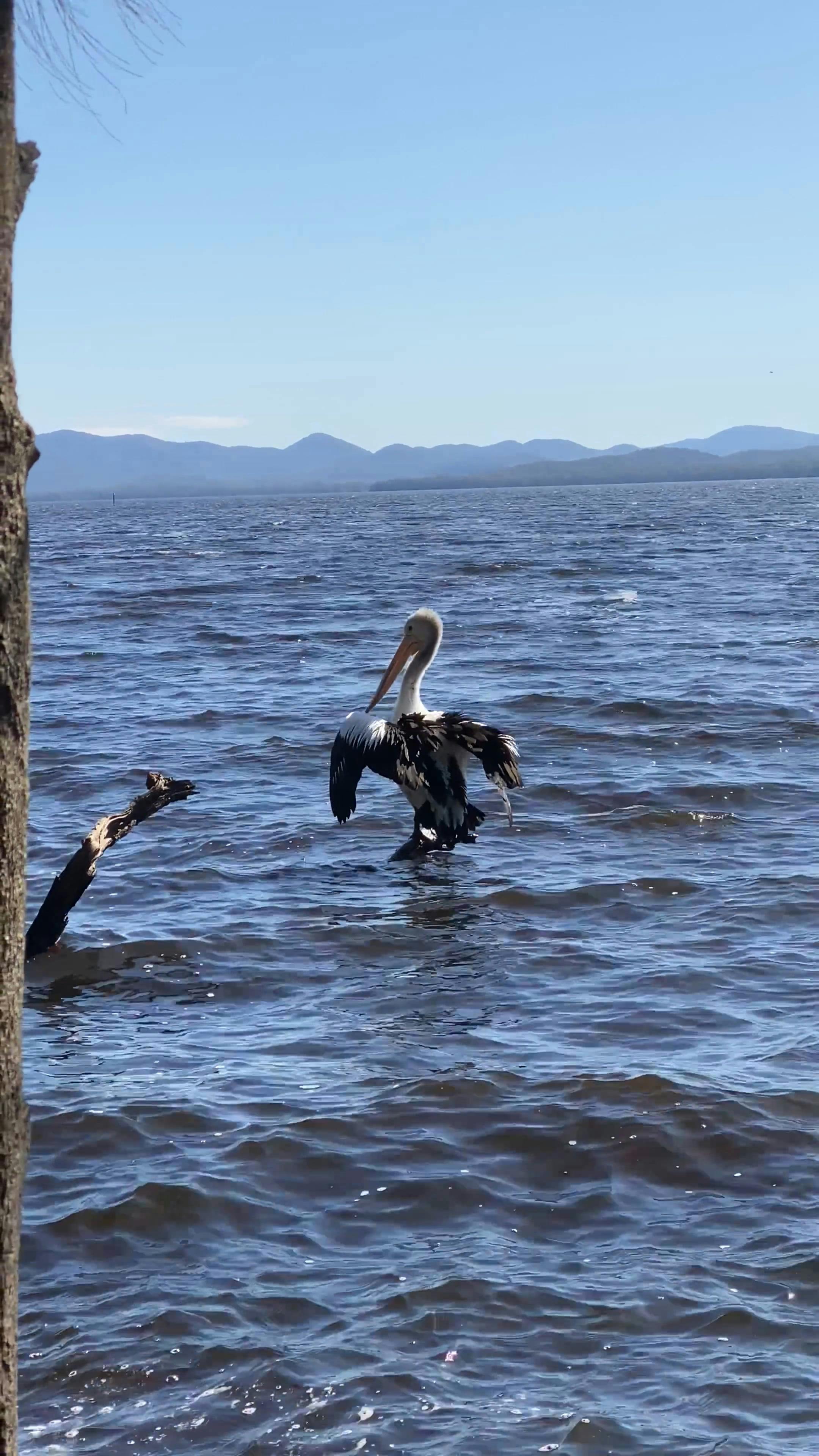 Deb Carr - Photography