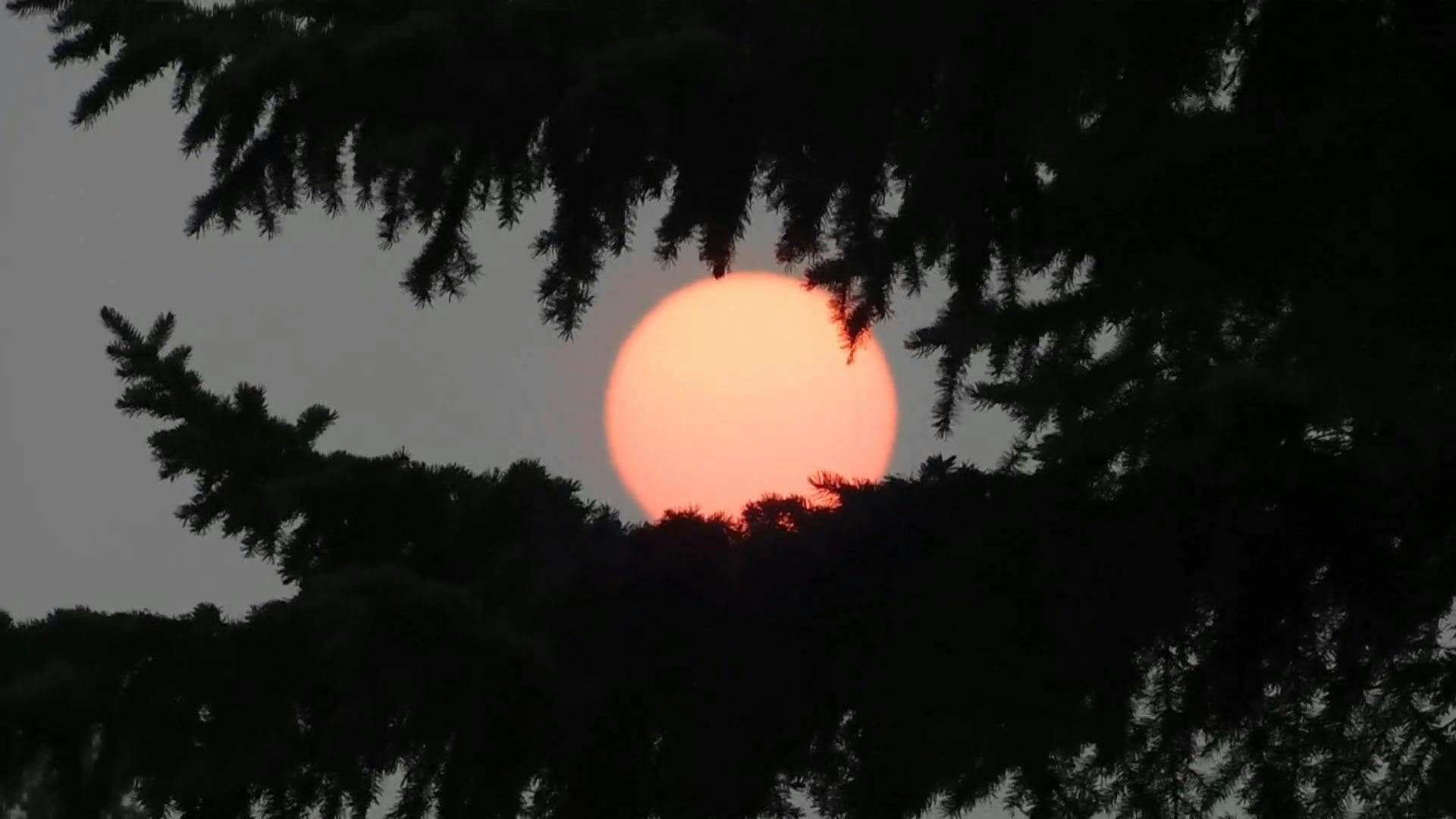 Beautiful Red Sun · Free Stock Video