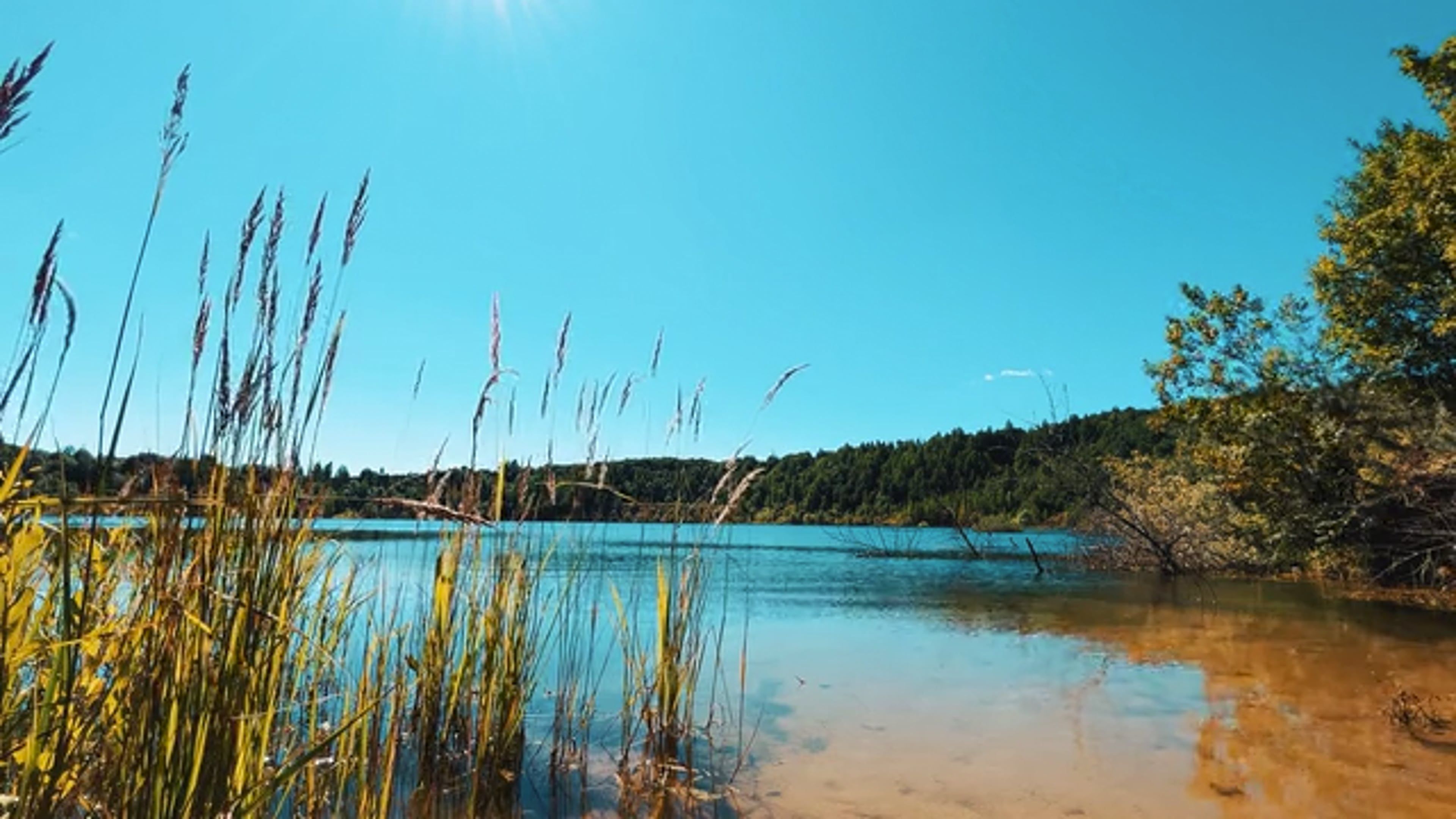 Clear Sky over Lakeshore Free Stock Video Footage, Royalty-Free 4K & HD ...