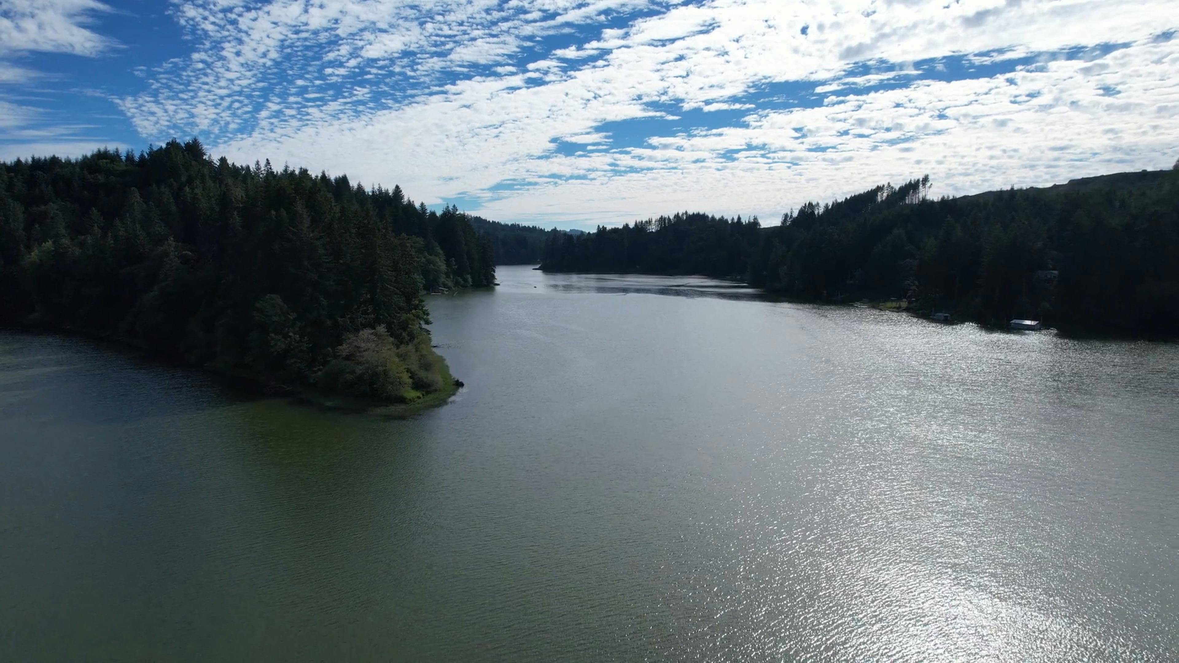 Forest and Lake in Birds Eye View Free Stock Video Footage, Royalty ...