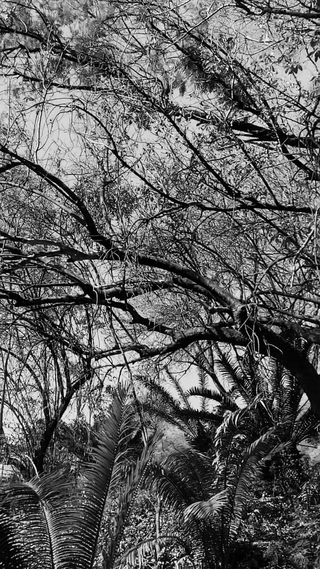 Ayanda M - Photography