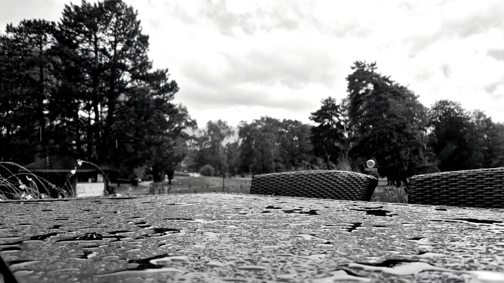 Rain session back 2024 Free Stock Video Footage, Royalty-Free 4K & HD ...