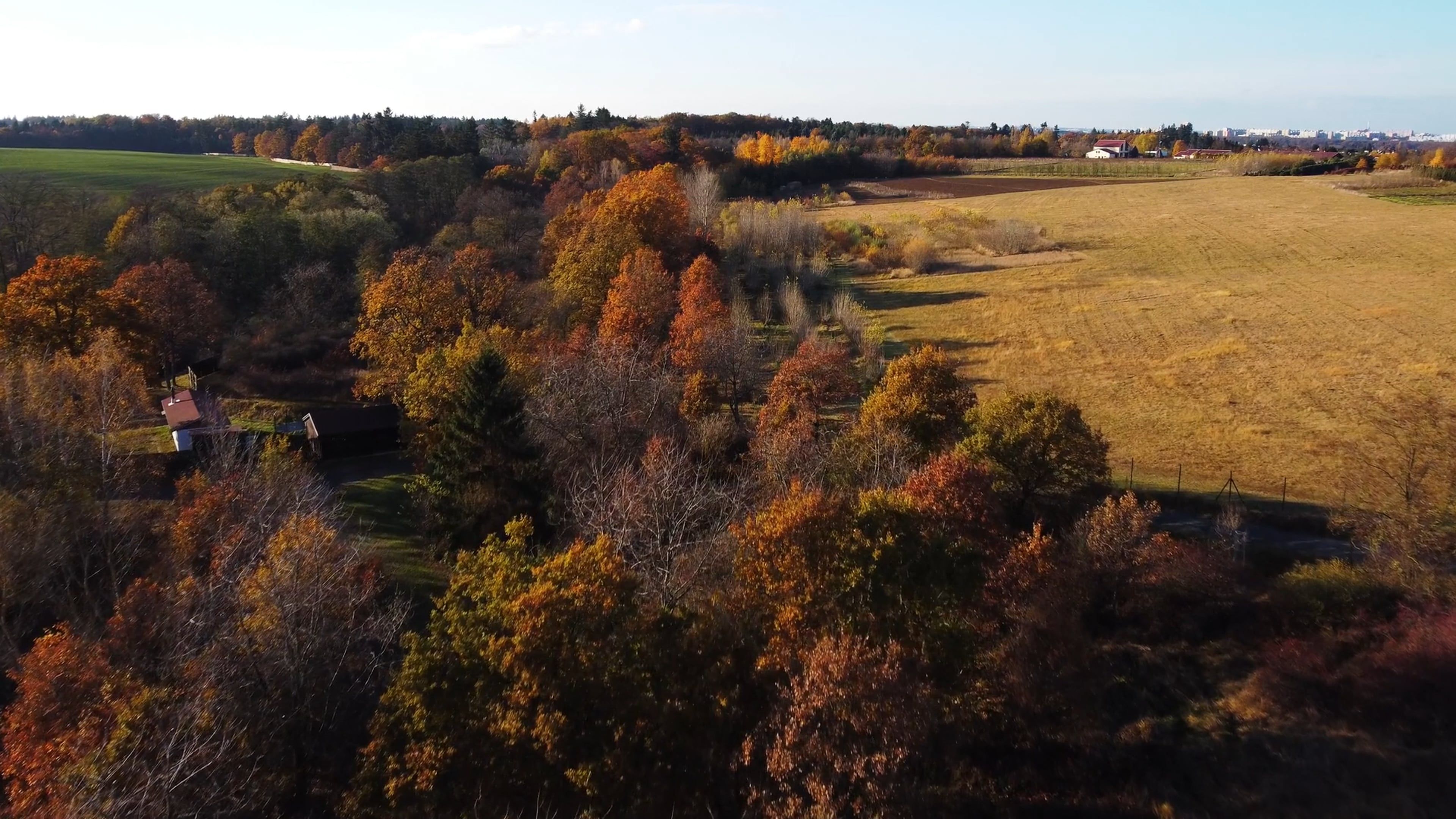 Trees on Plains Free Stock Video Footage, Royalty-Free 4K & HD Video Clip