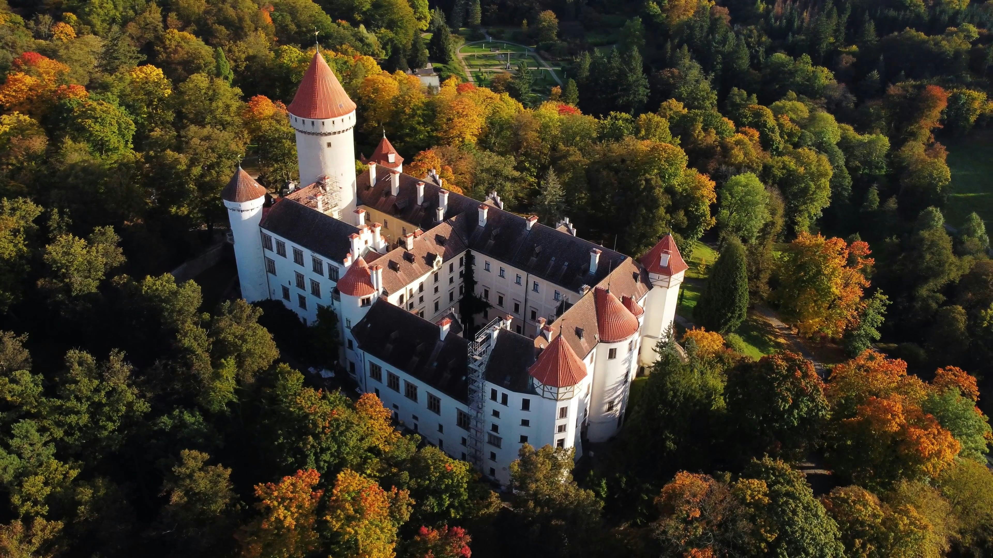 Castle in Forest Free Stock Video Footage, Royalty-Free 4K & HD Video Clip