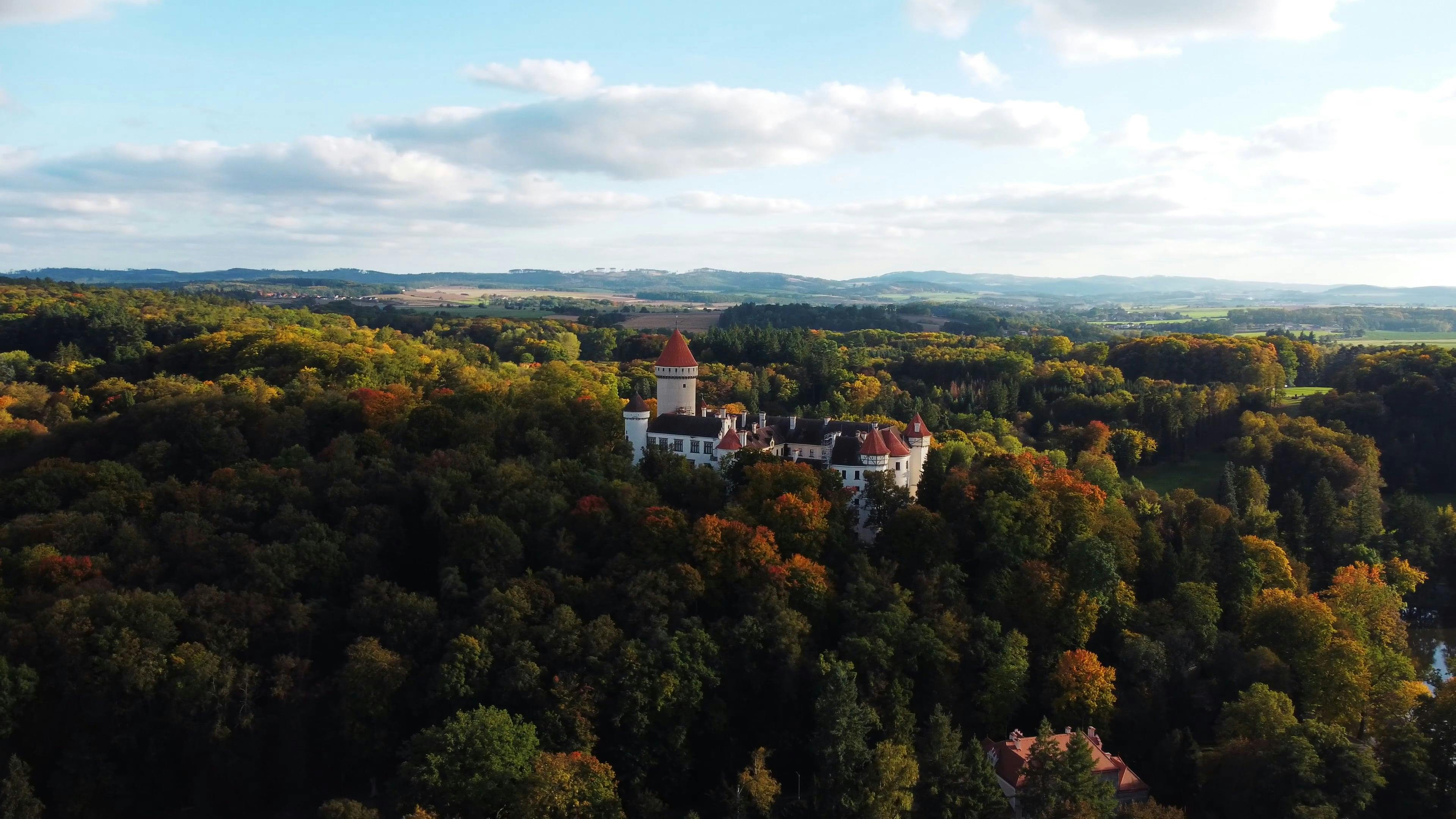 Video gratuito di alberi, ambiente, antico, architettura, architettura ...