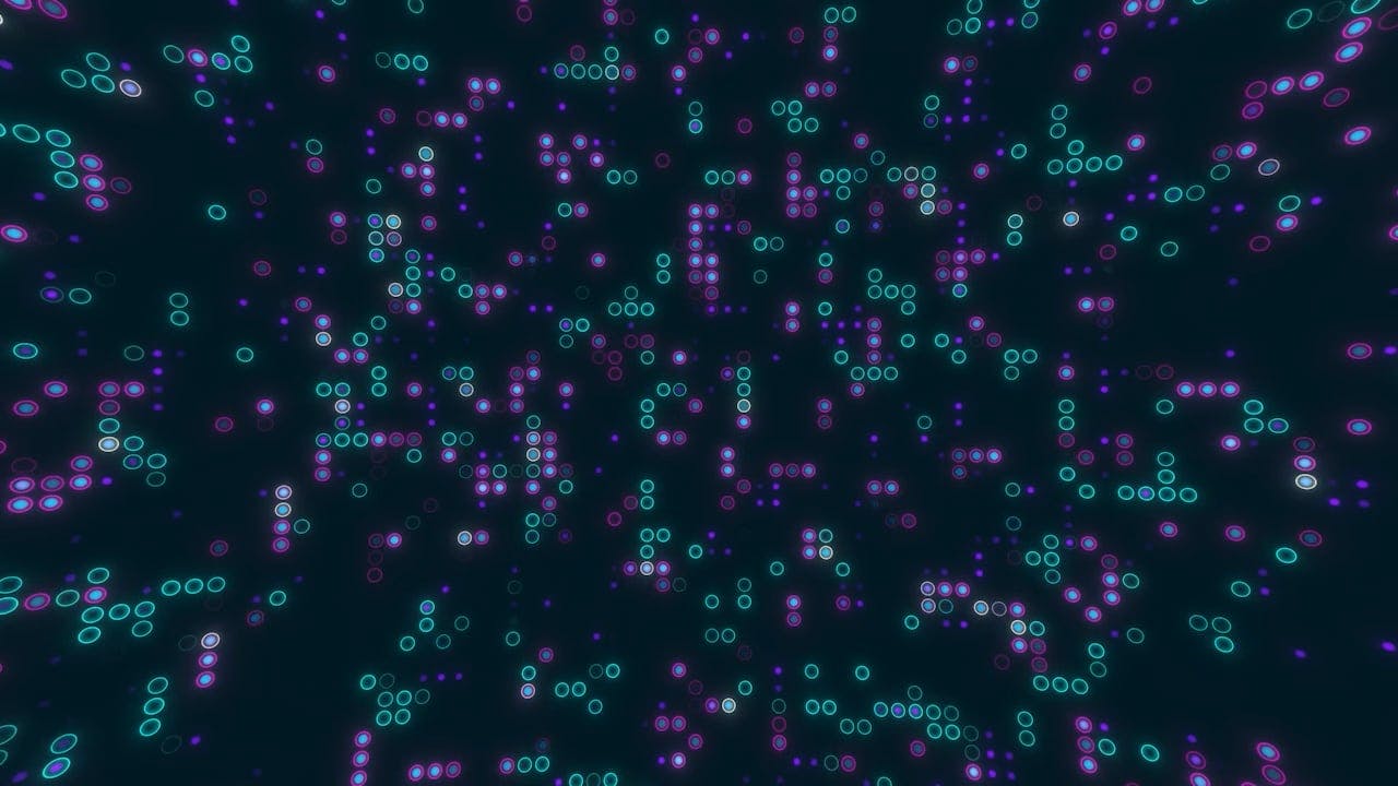 Digital Node Network Animation in Motion Free Stock Video Footage ...