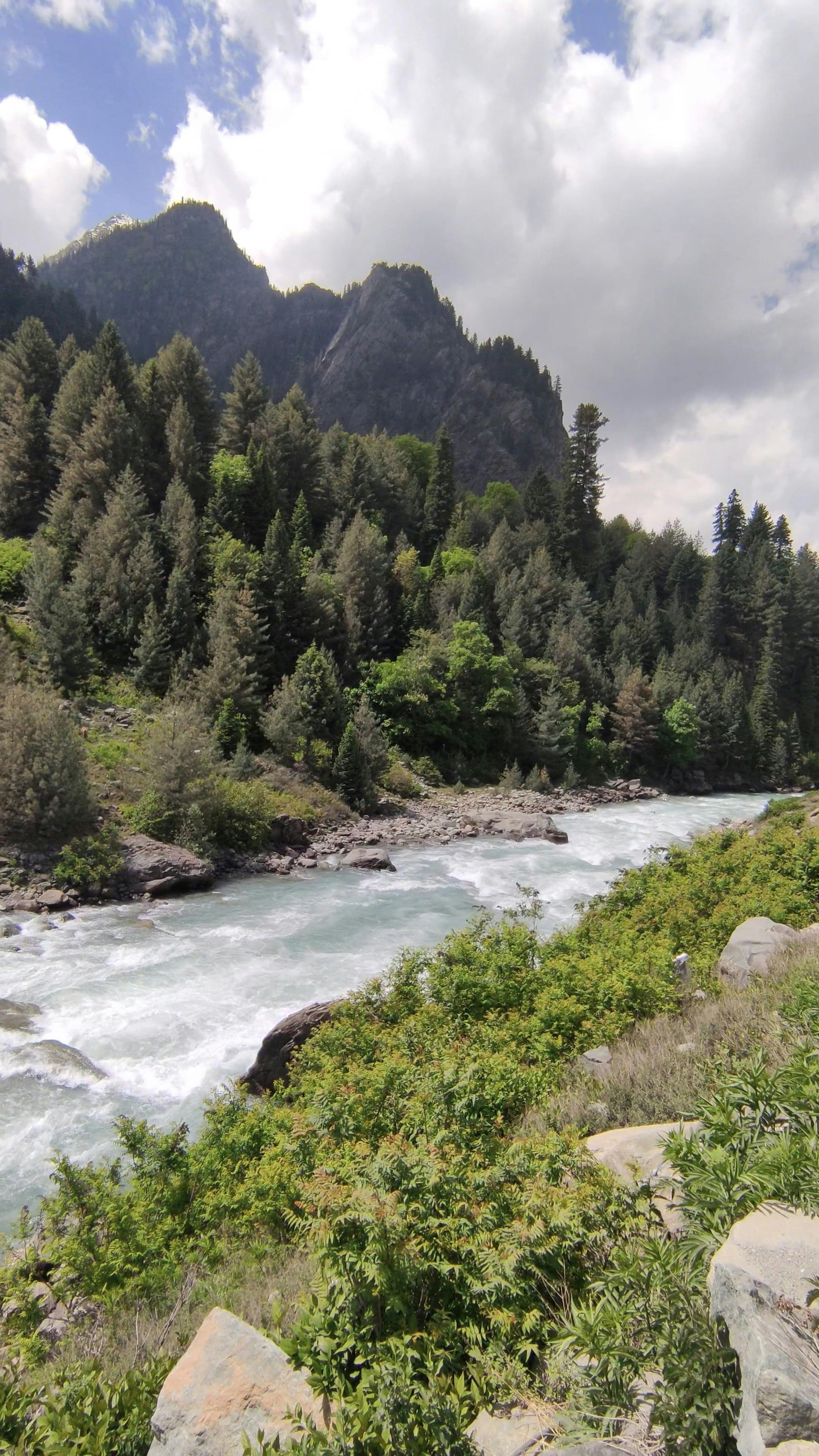 Creek in Mountains Free Stock Video Footage, Royalty-Free 4K & HD Video ...