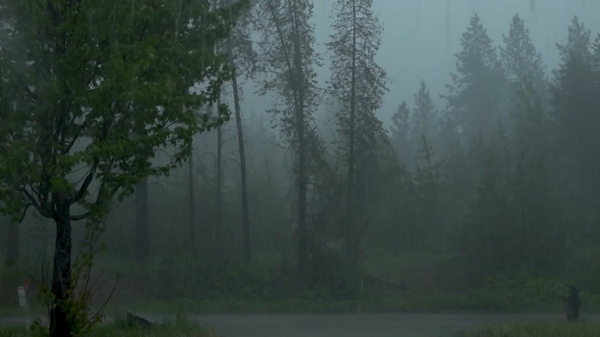 Acid Rain Videos, Download Free 4k Stock Video Footage & Acid Rain HD ...