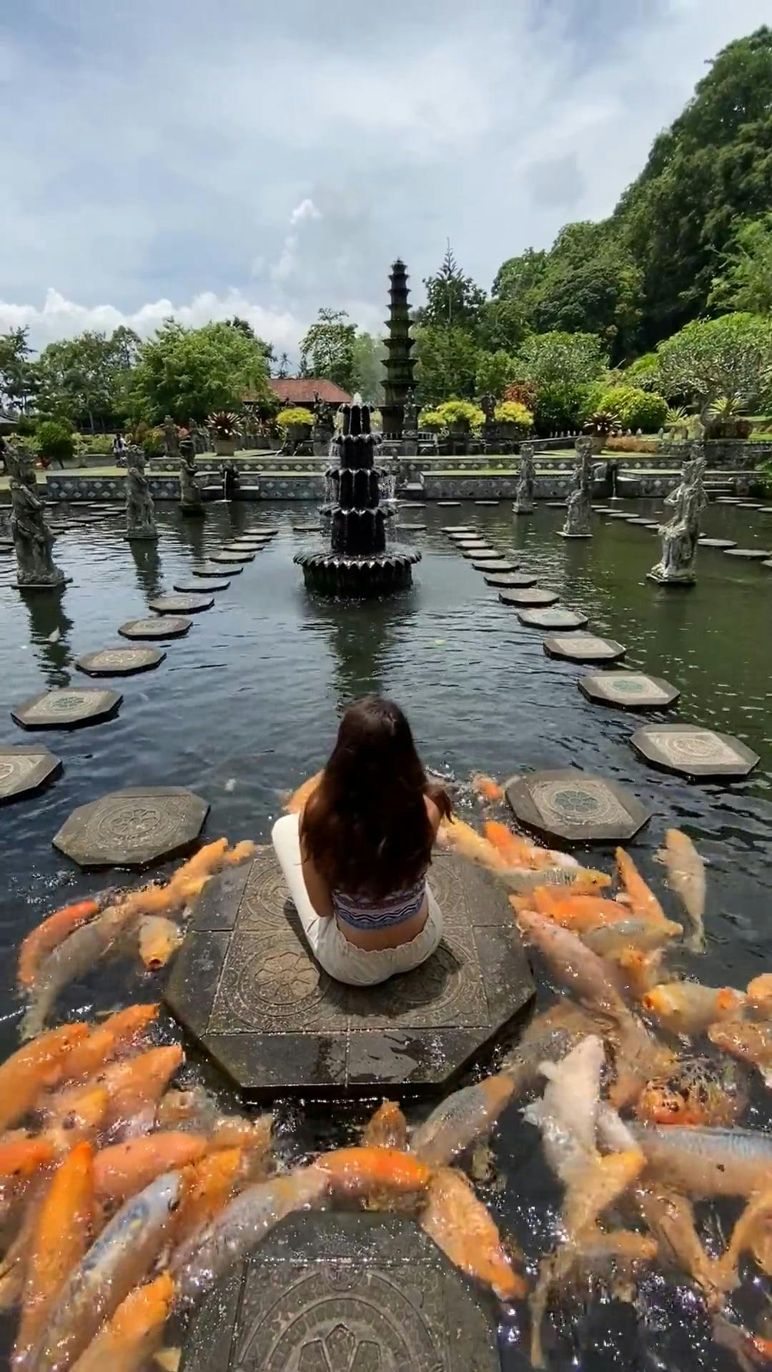 Fish around Woman on Stone on Pond Free Stock Video Footage, Royalty ...