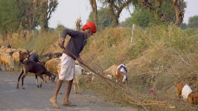 Rural India Videos, Download The BEST Free 4k Stock Video Footage ...
