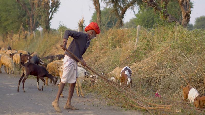 Indian Village Videos Videos, Download The BEST Free 4k Stock Video ...