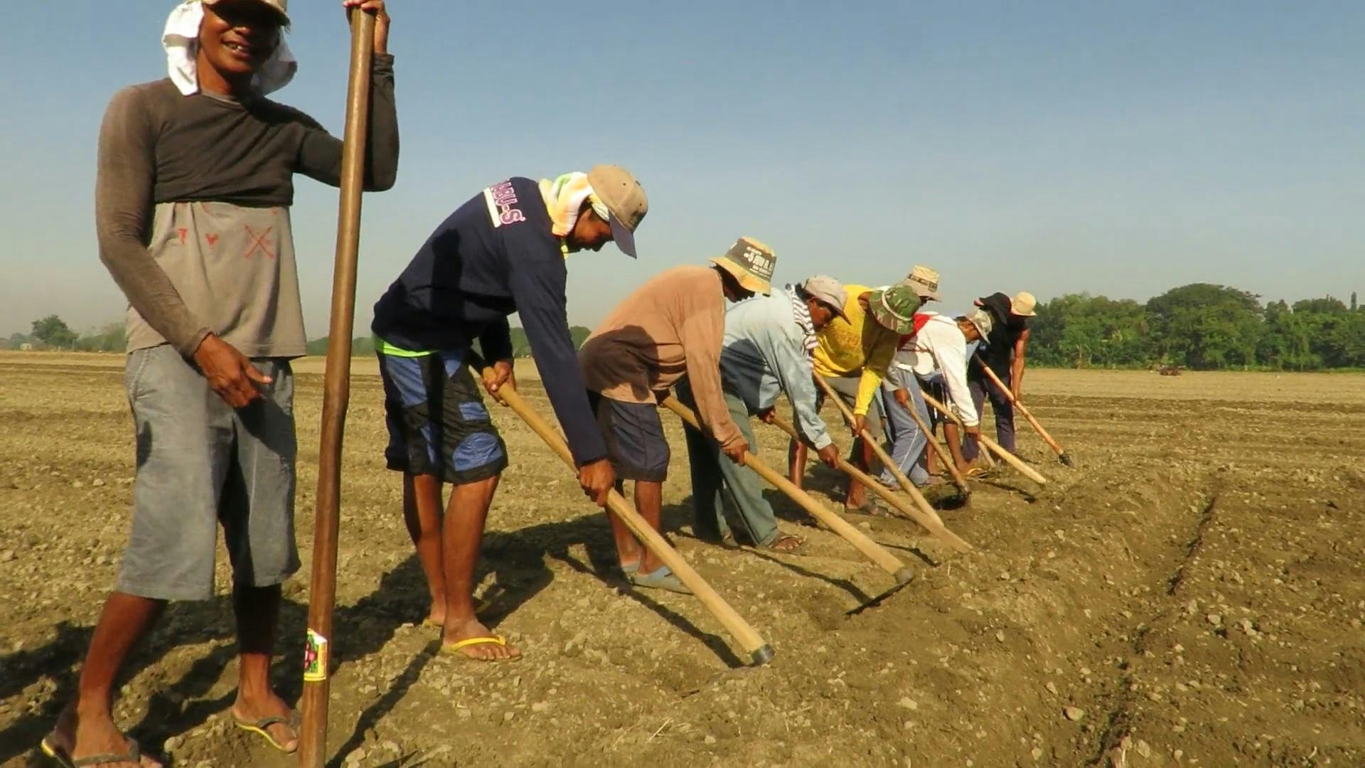 Farmers Working on Field Free Stock Video Footage, Royalty-Free 4K & HD ...