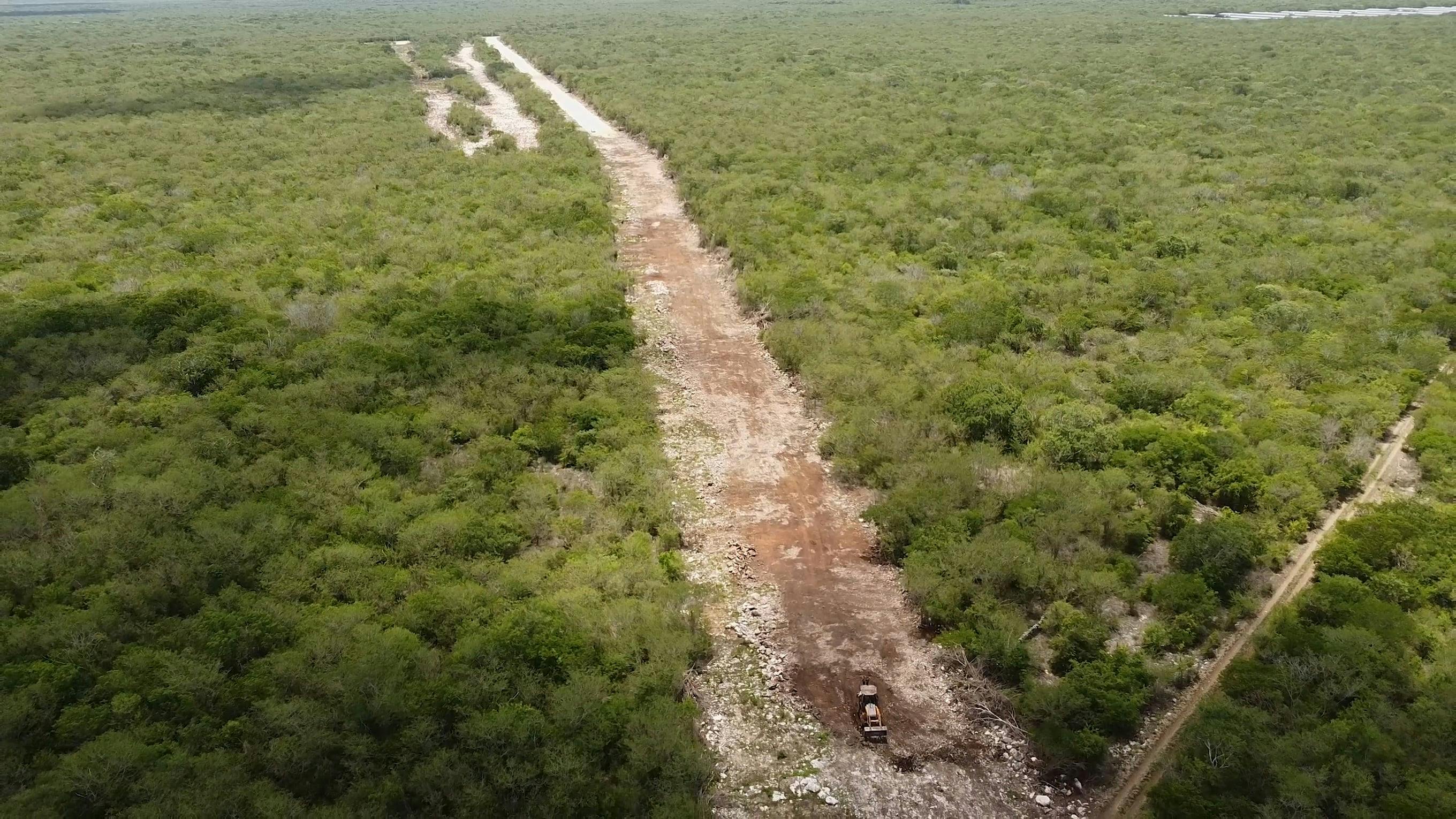 Logging Impact Videos, Download The BEST Free 4k Stock Video Footage ...