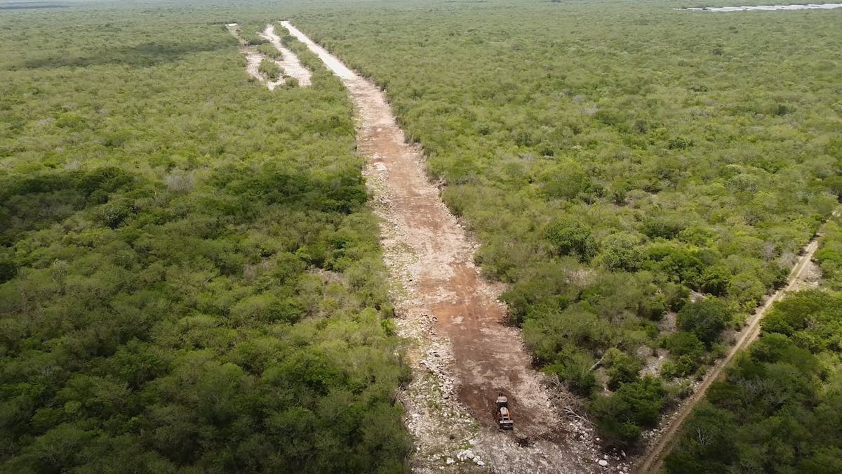 Deforestation Videos, Download The BEST Free 4k Stock Video Footage ...