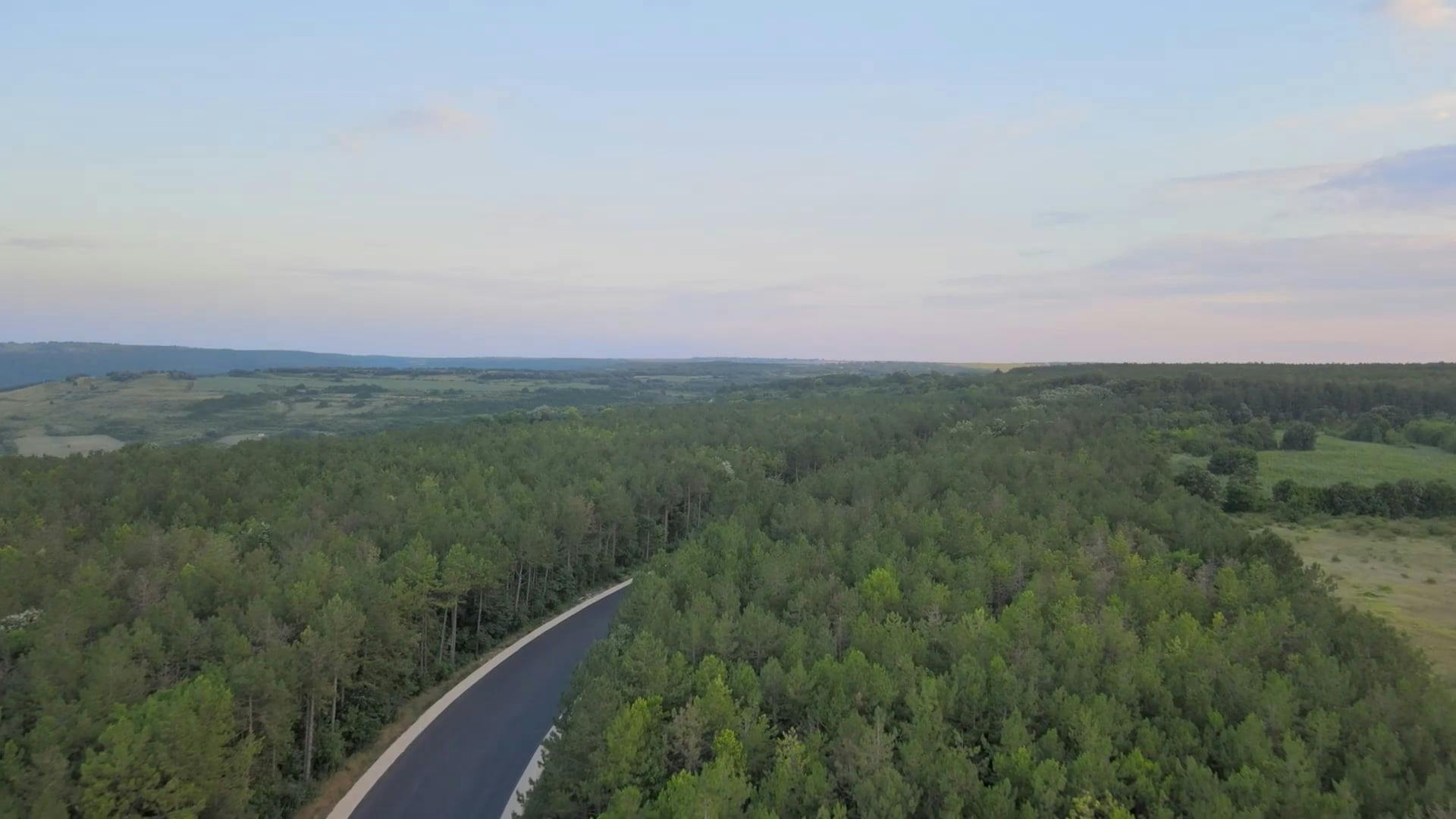 A Road Cuts Through A Forest Free Stock Video Footage, Royalty-Free 4K ...