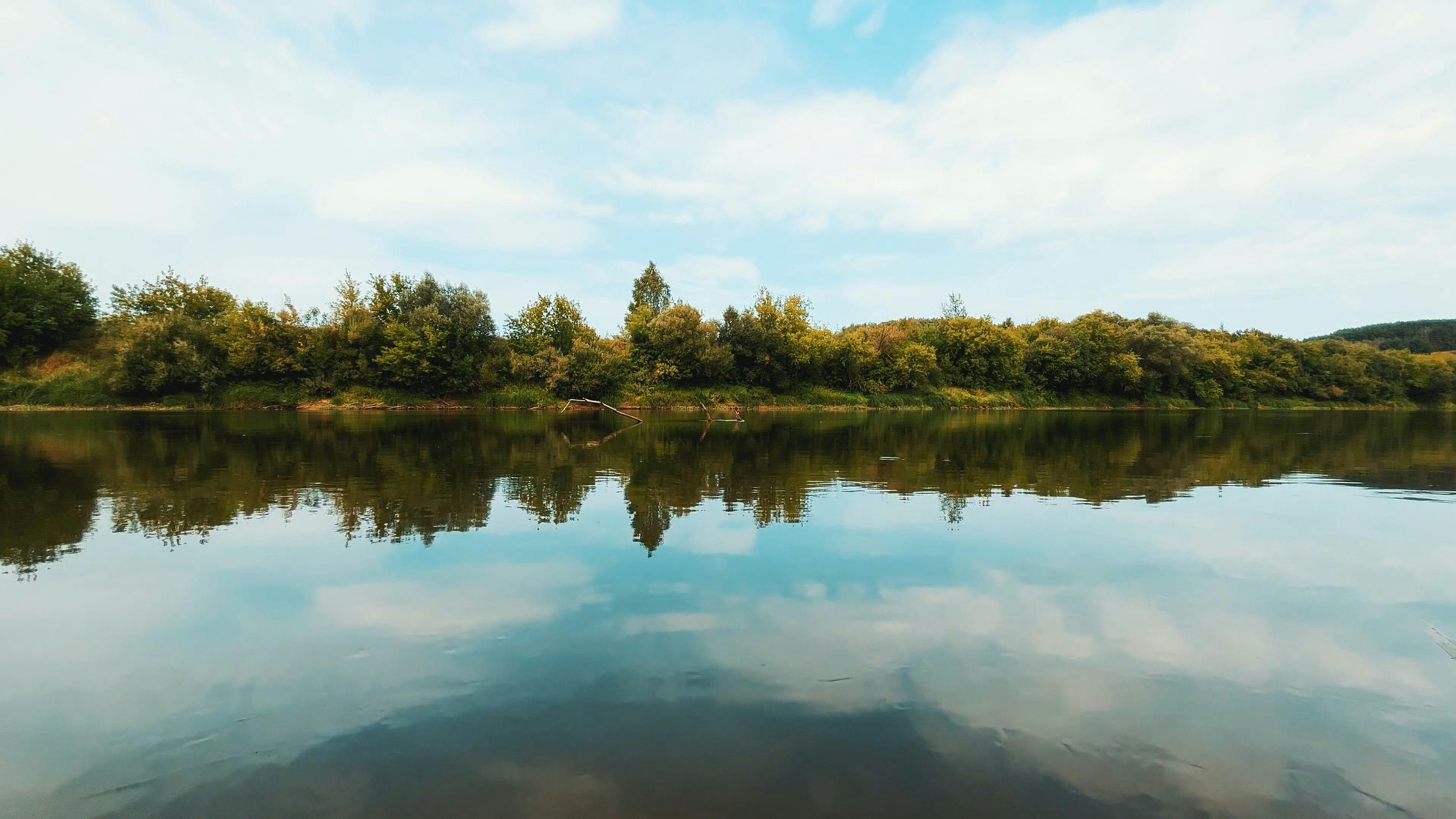 Vídeos de stock gratuitos sobre arboles, bosque, lago, naturaleza ...