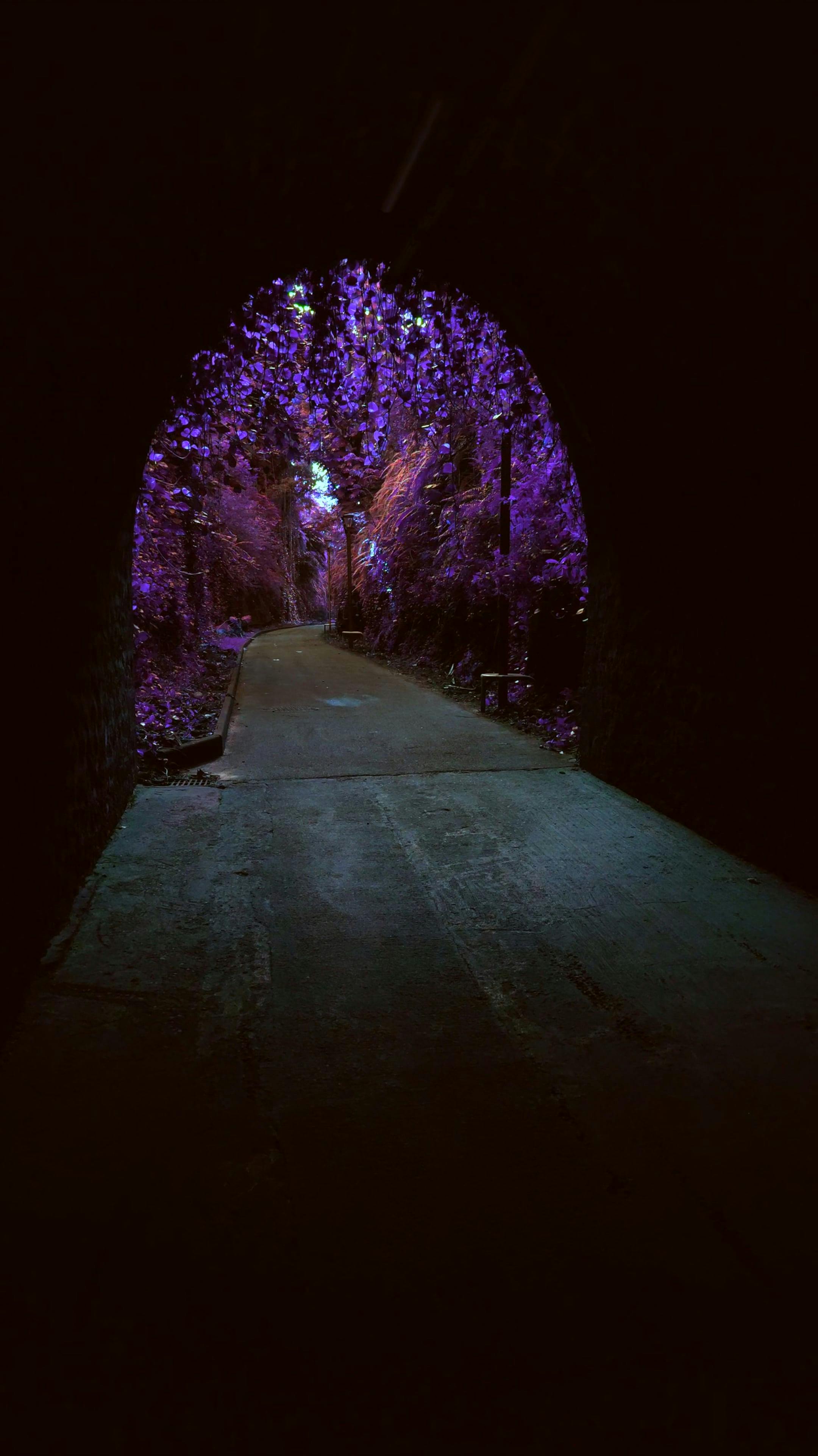 Purple Road Videos, Download The BEST Free 4k Stock Video Footage ...