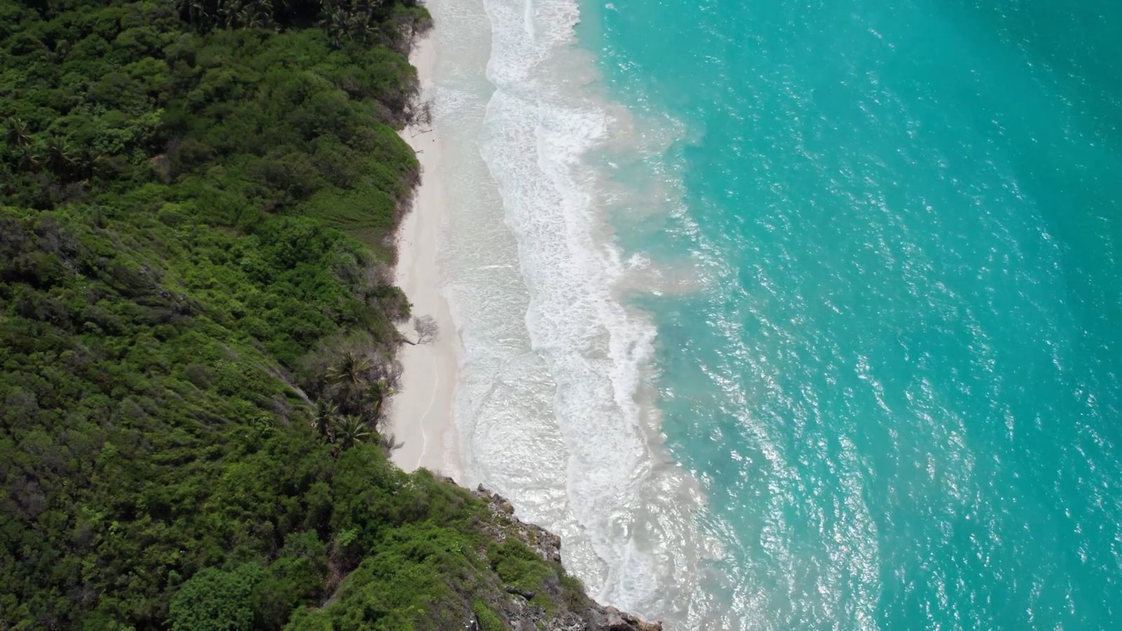 Zanzibar Beach Videos, Download Free 4k Stock Video Footage & Zanzibar ...