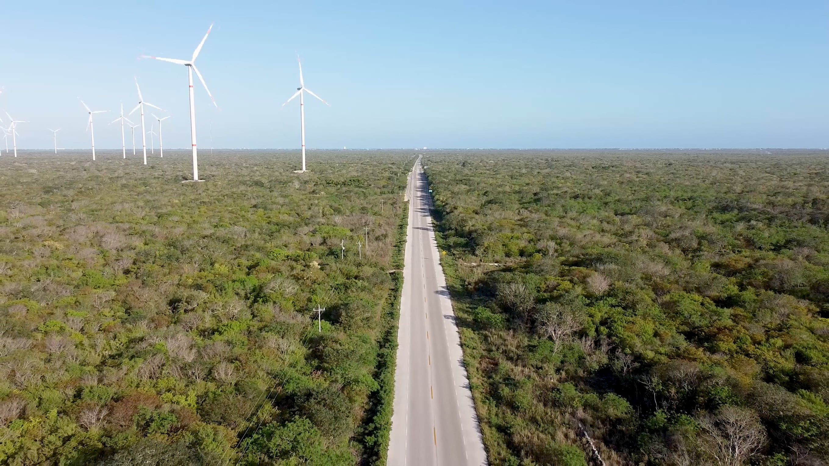 Road in Forest and Wind Turbines behind Free Stock Video Footage ...