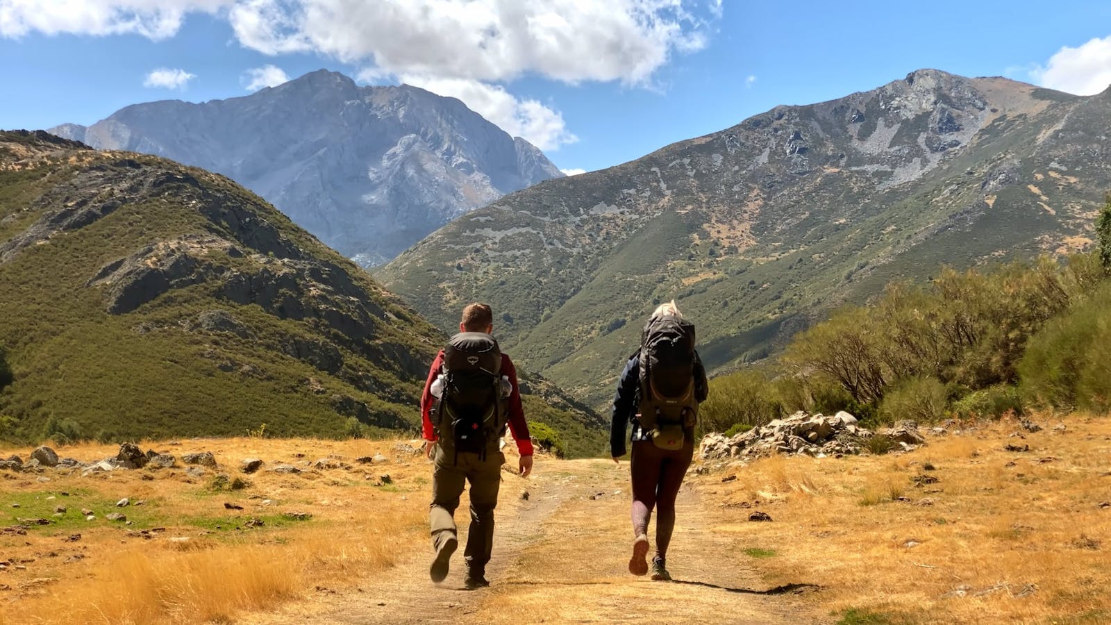 Rear View Videos, Download Free 4k Stock Video Footage & Rear View HD ...