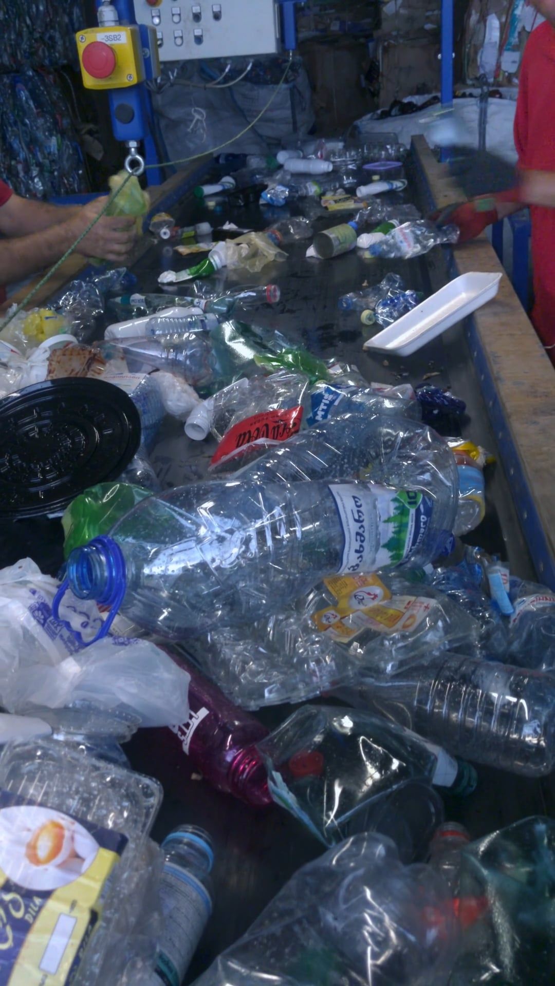 People Working in Sorting Plastic Bottles Free Stock Video Footage ...