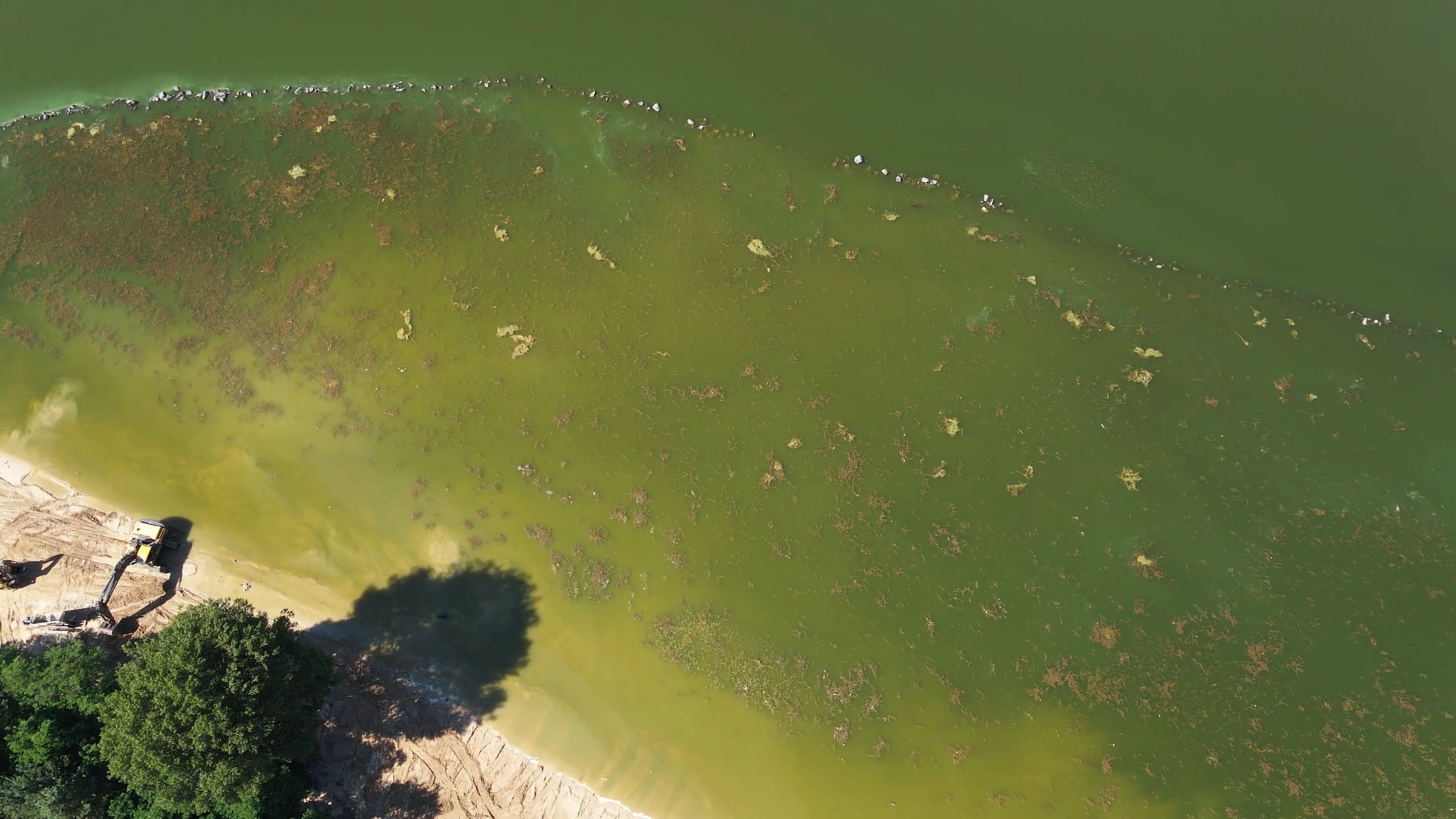 Green Water in River Free Stock Video Footage, Royalty-Free 4K & HD ...