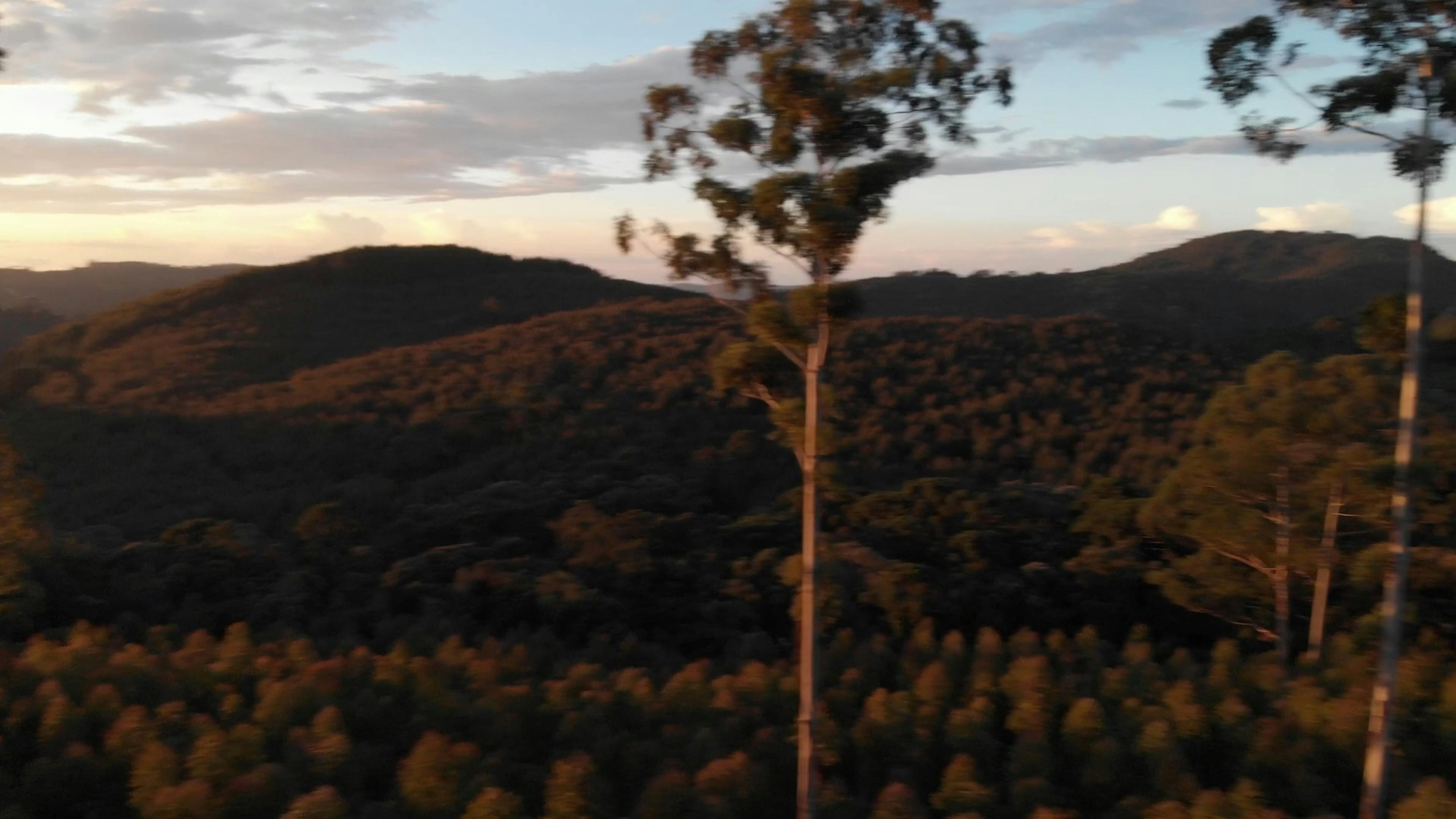 Produtora Midtrack - 摄影