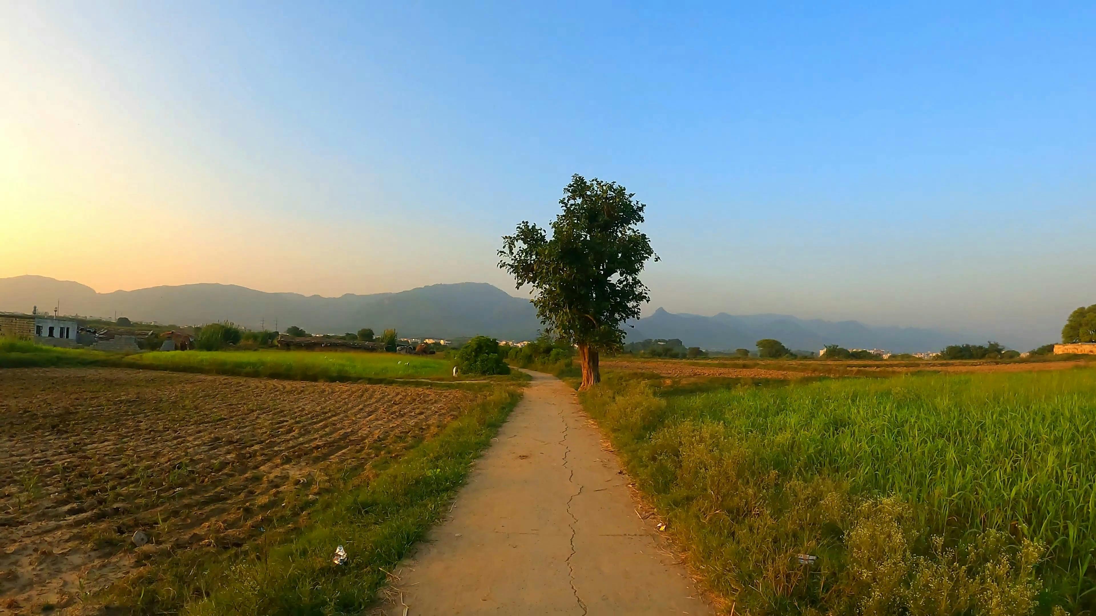 Passing by the Beautiful Nature in Countryside Free Stock Video Footage ...