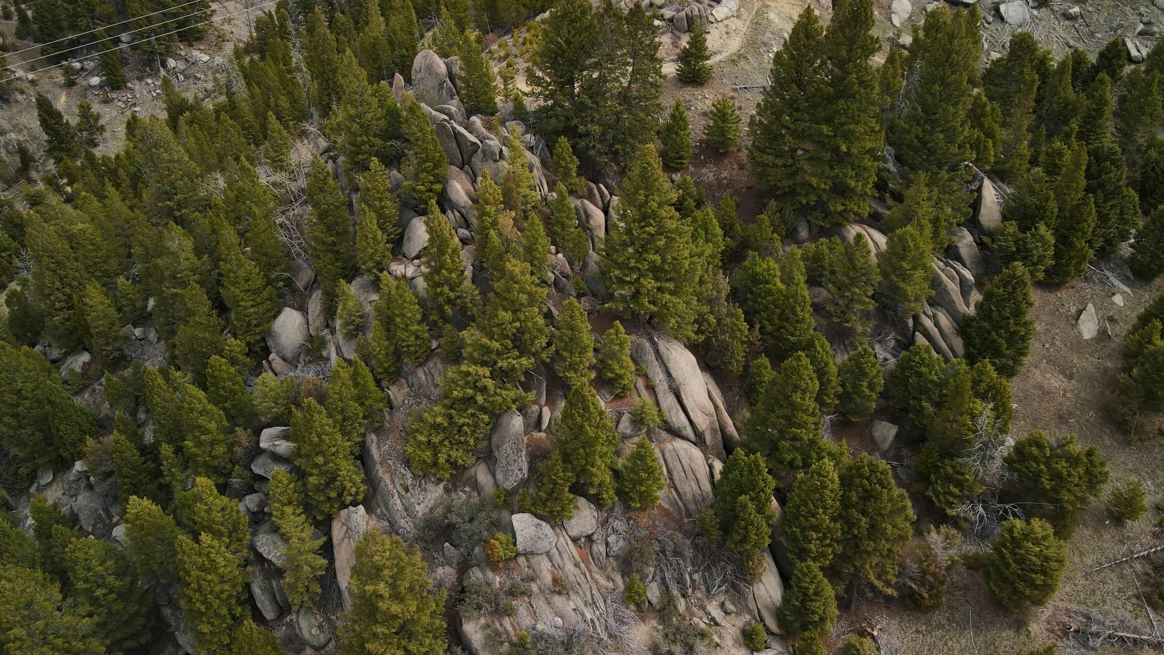 Drone View of Pine Trees and Rock Formations in the Mountains Free ...