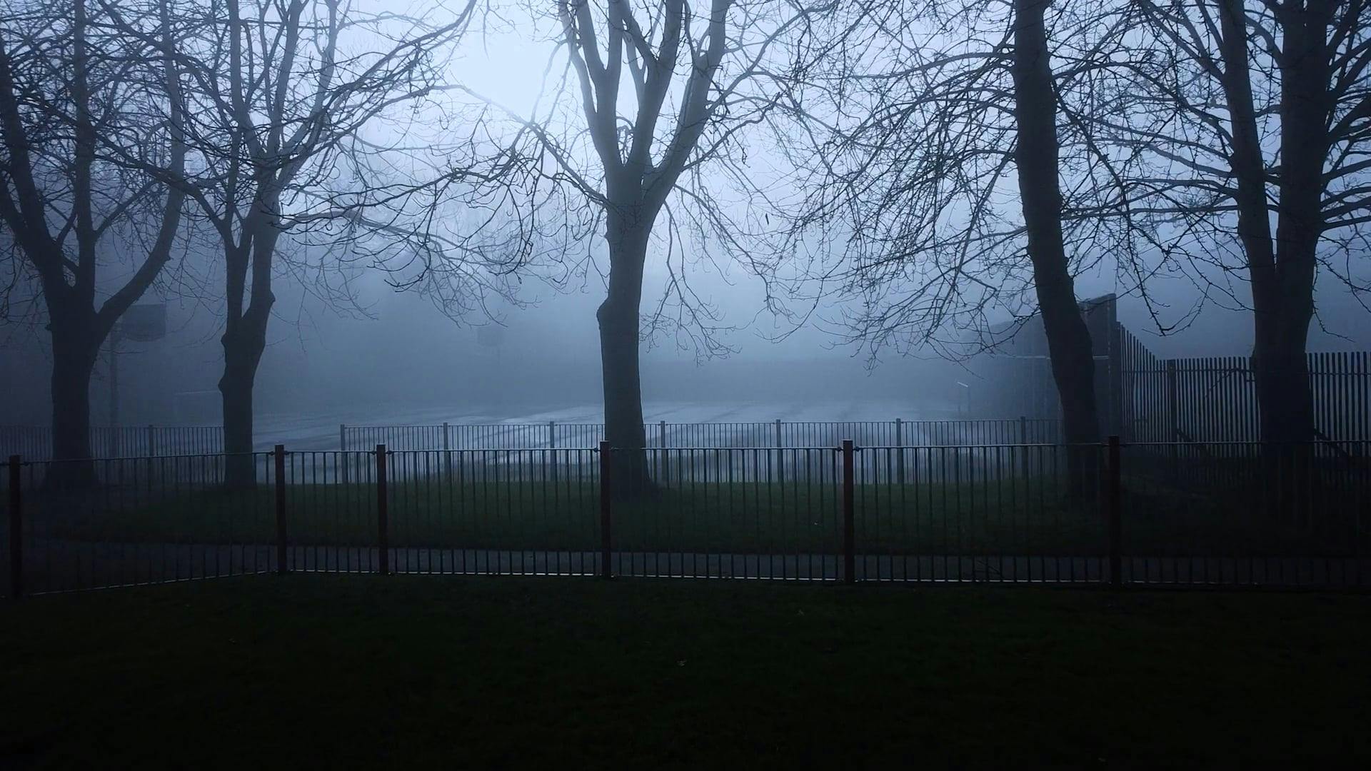Hands in Fog Free Stock Video Footage, Royalty-Free 4K & HD Video Clip