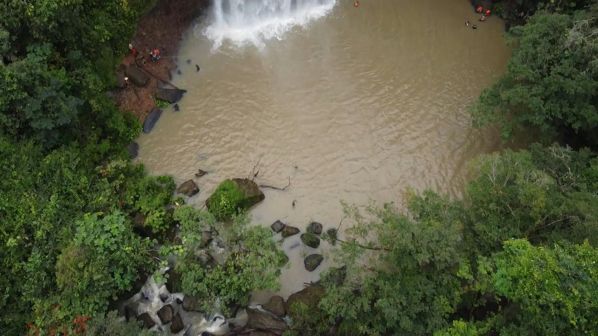 Top View Footage Of The Forest And Waterfalls Free Stock Video Footage ...