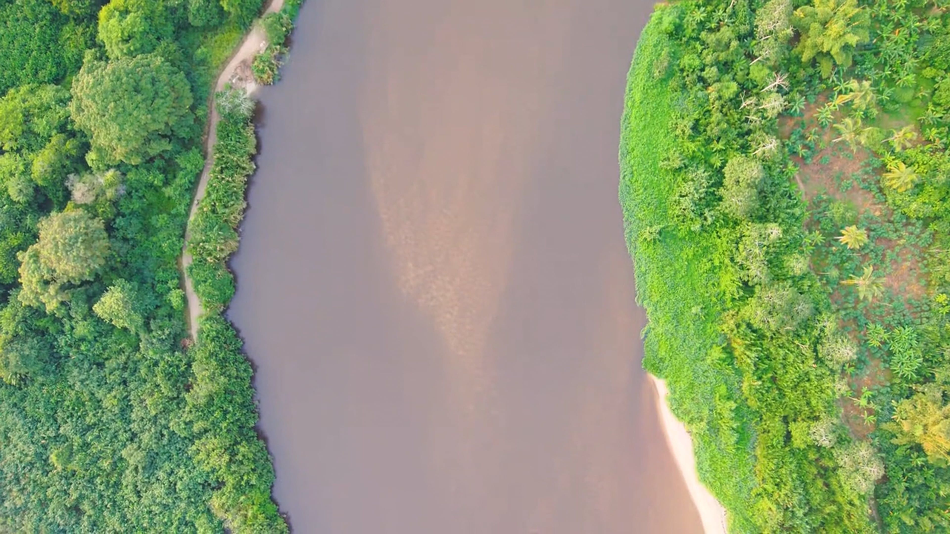 Caribbean River Videos, Download The BEST Free 4k Stock Video Footage ...