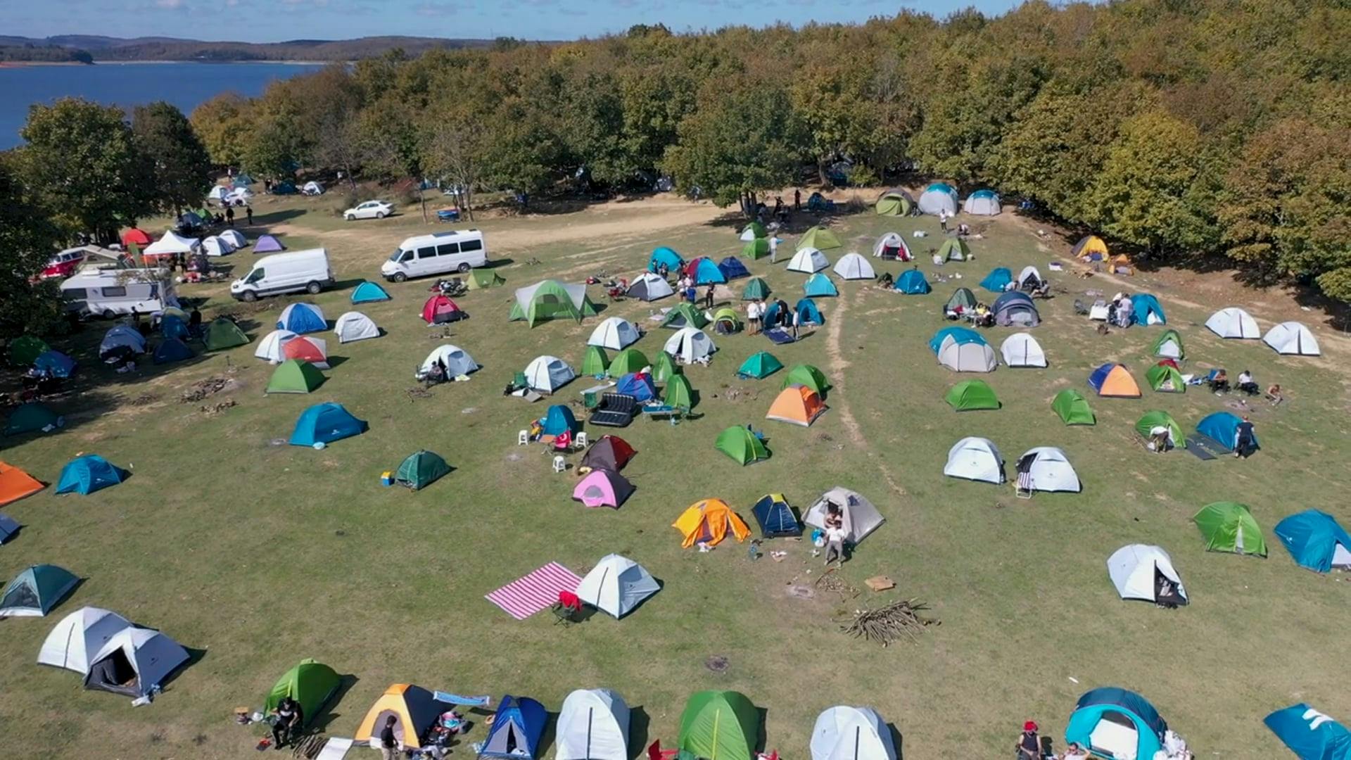 Vidéo gratuite de amoureux de la nature, arbres, aventure, beauté ...