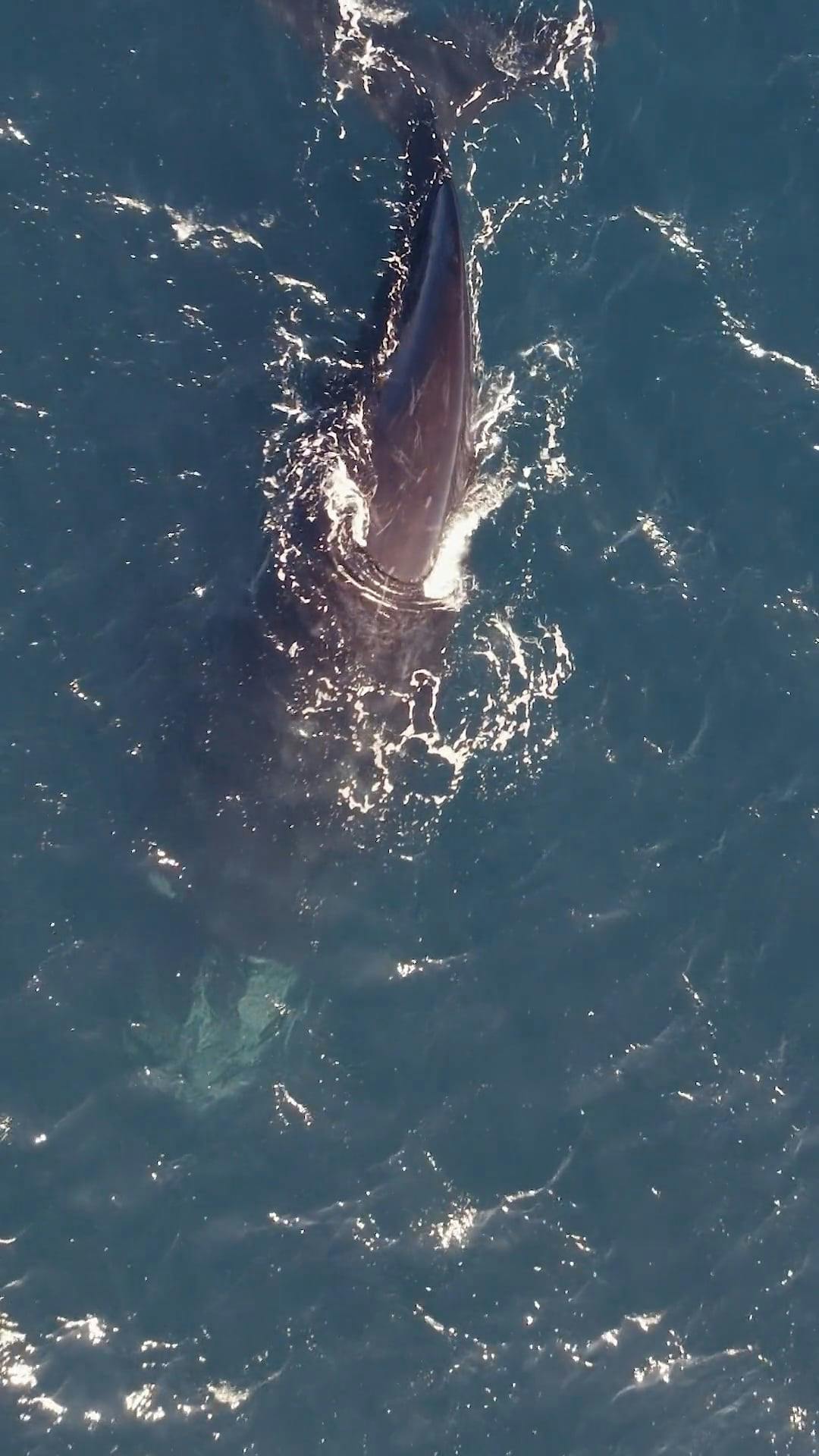 Kostenloses Stock-Video zum Thema drohne aufnahmen, luftaufnahmen ...